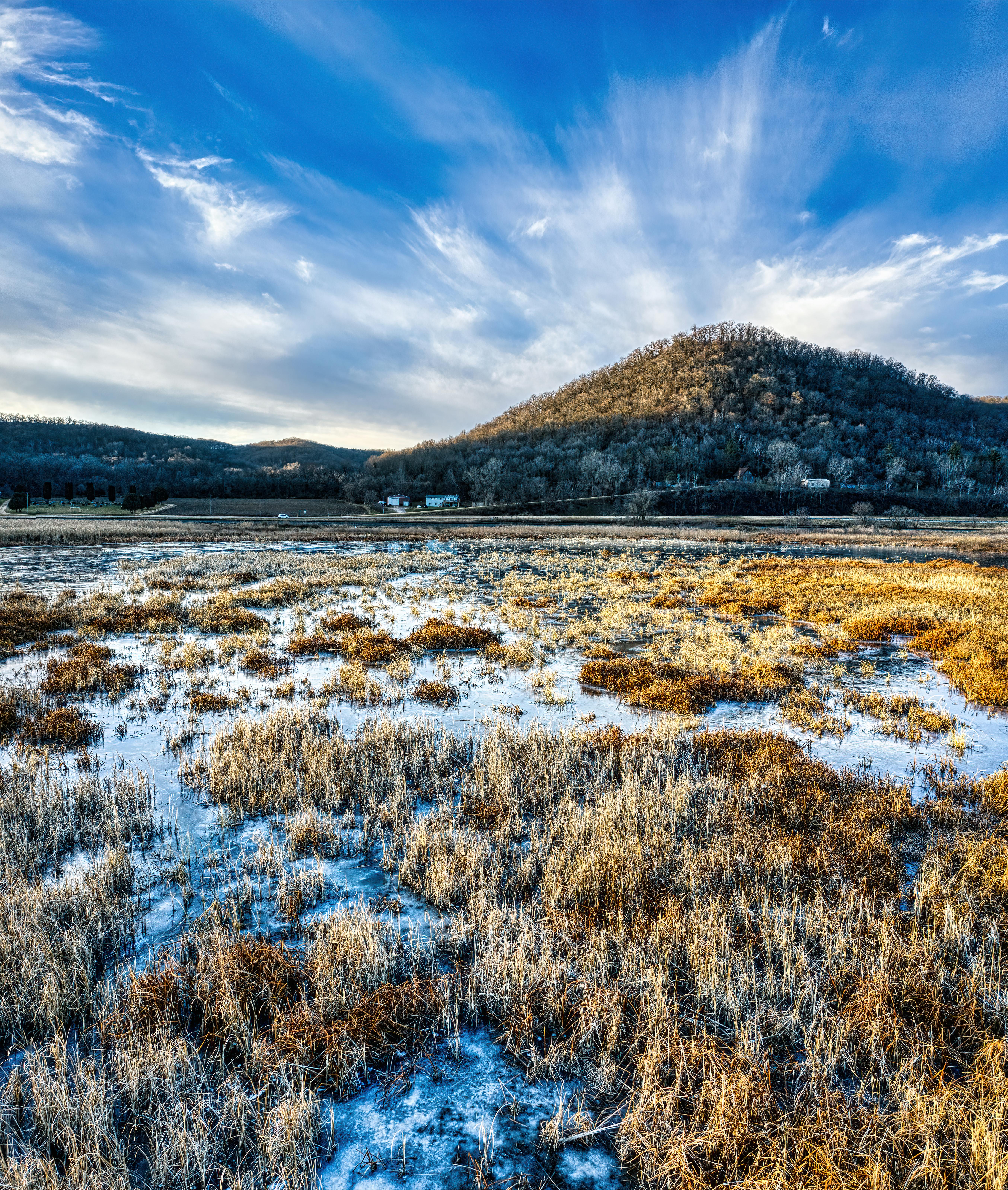 Brown Grass Field Under the Blue Sky · Free Stock Photo