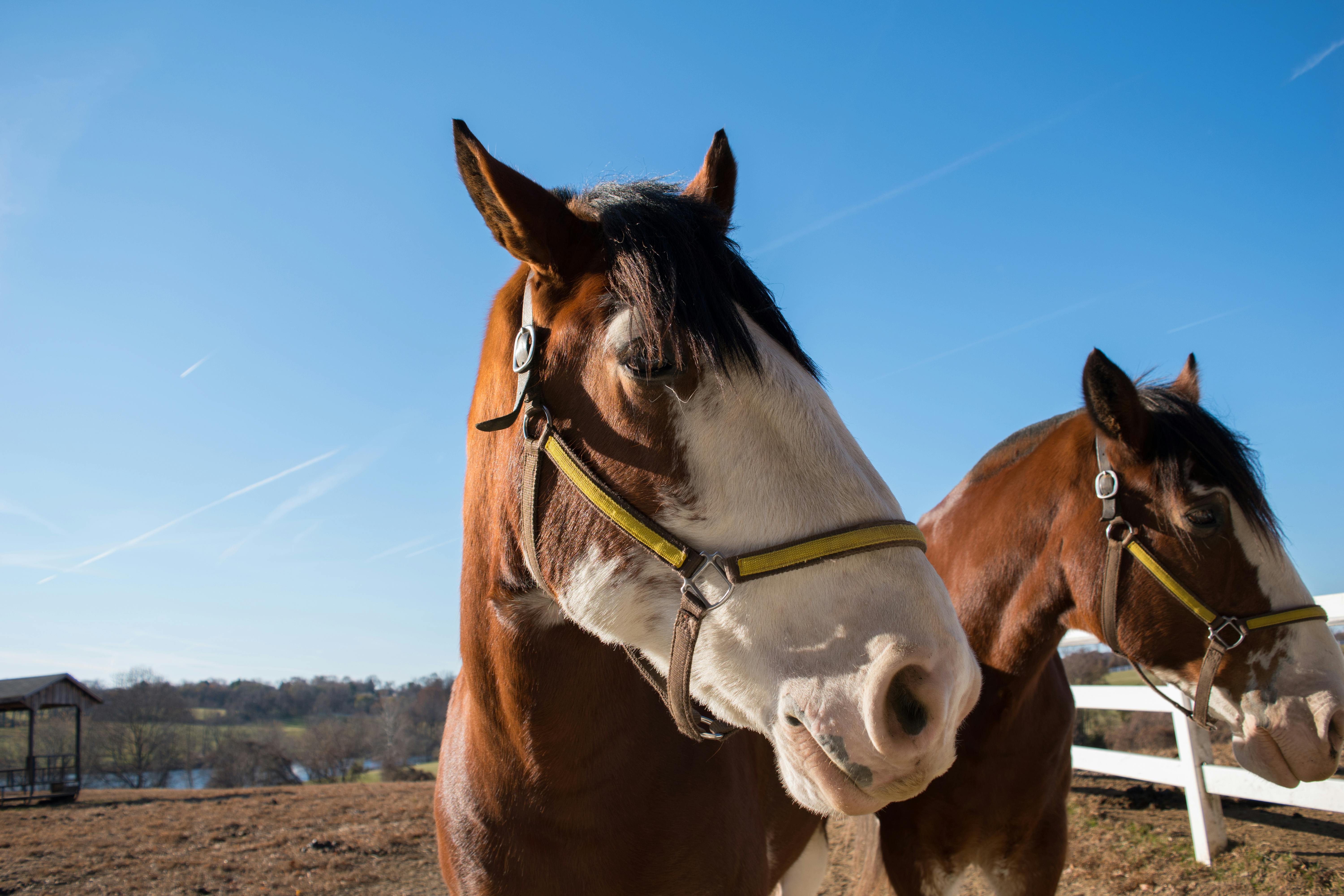 Brian Garrity - 사진