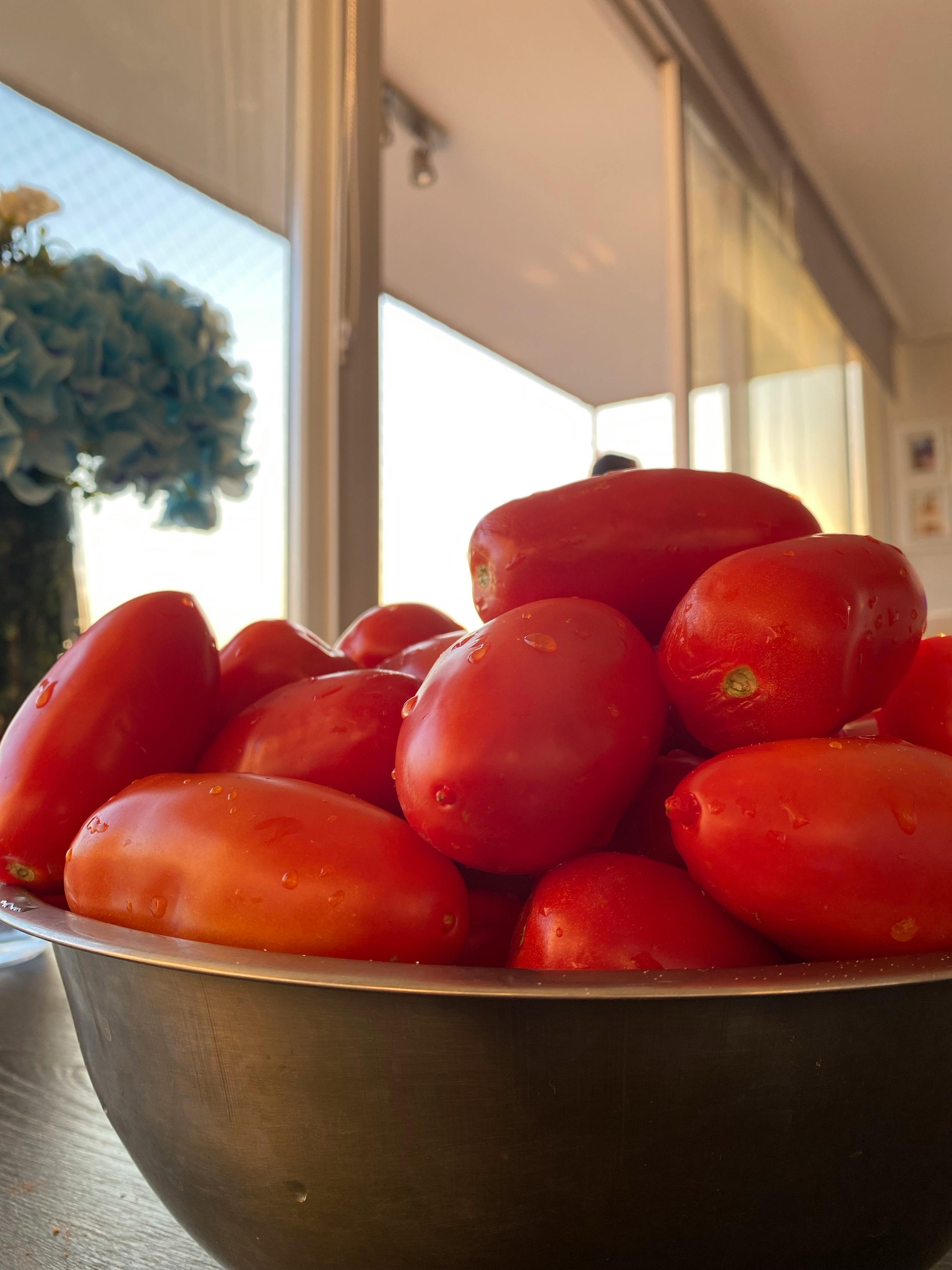 Rojo 7 Photos & Videos Collected by Danny Chang