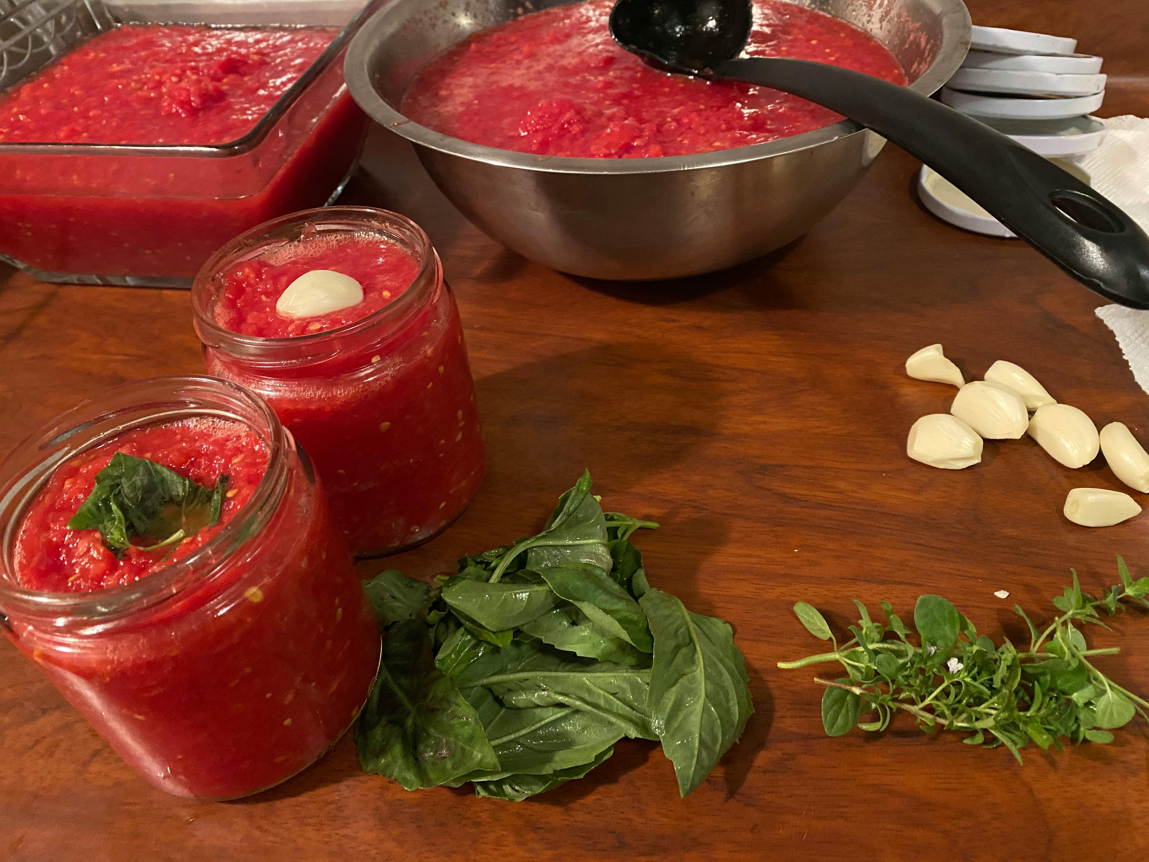 Rojo 7 Photos & Videos Collected by Danny Chang