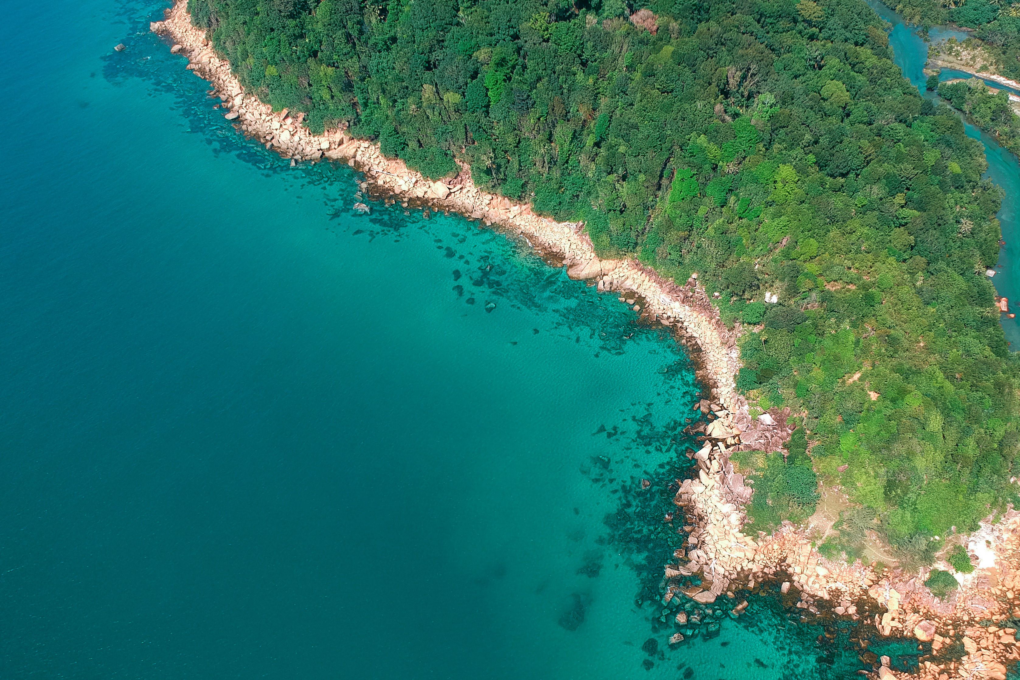luftbild-der-insel-mit-gr-nen-b-umen-am-tag-kostenloses-stock-foto