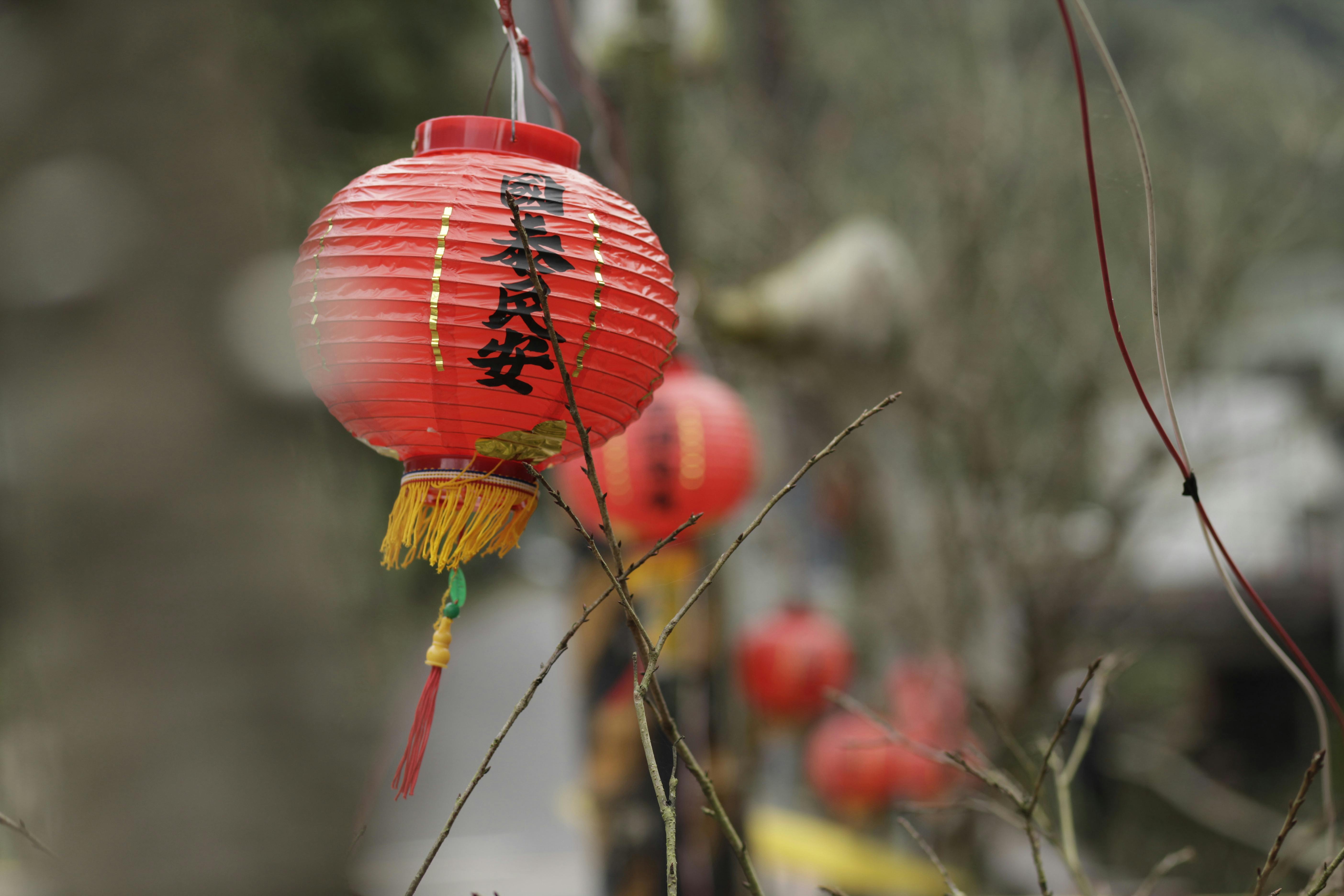 5,000+ Best Chinese Lantern Photos · 100% Free Download · Pexels Stock ...