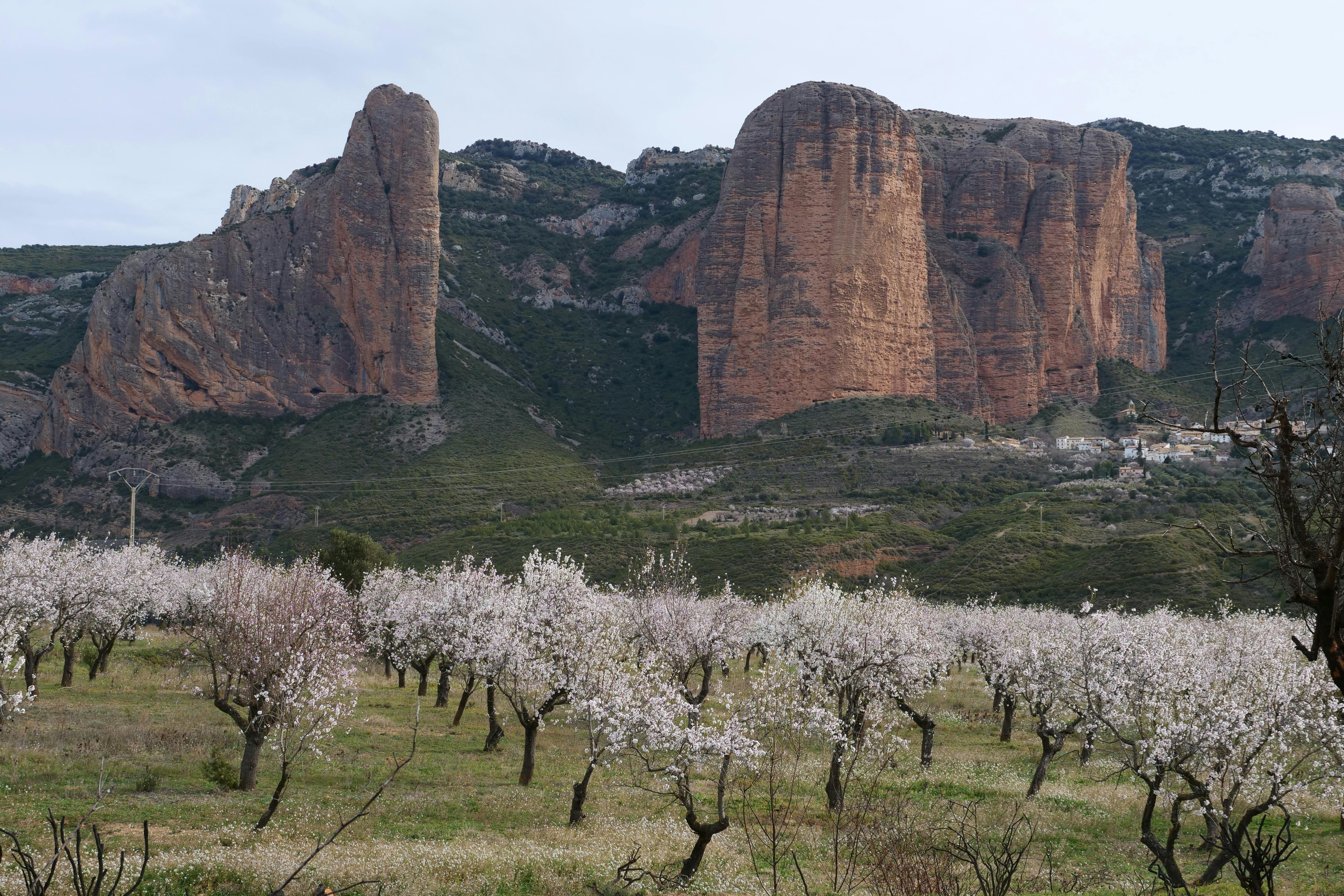 Rock Formations and Cotton Plantation · Free Stock Photo