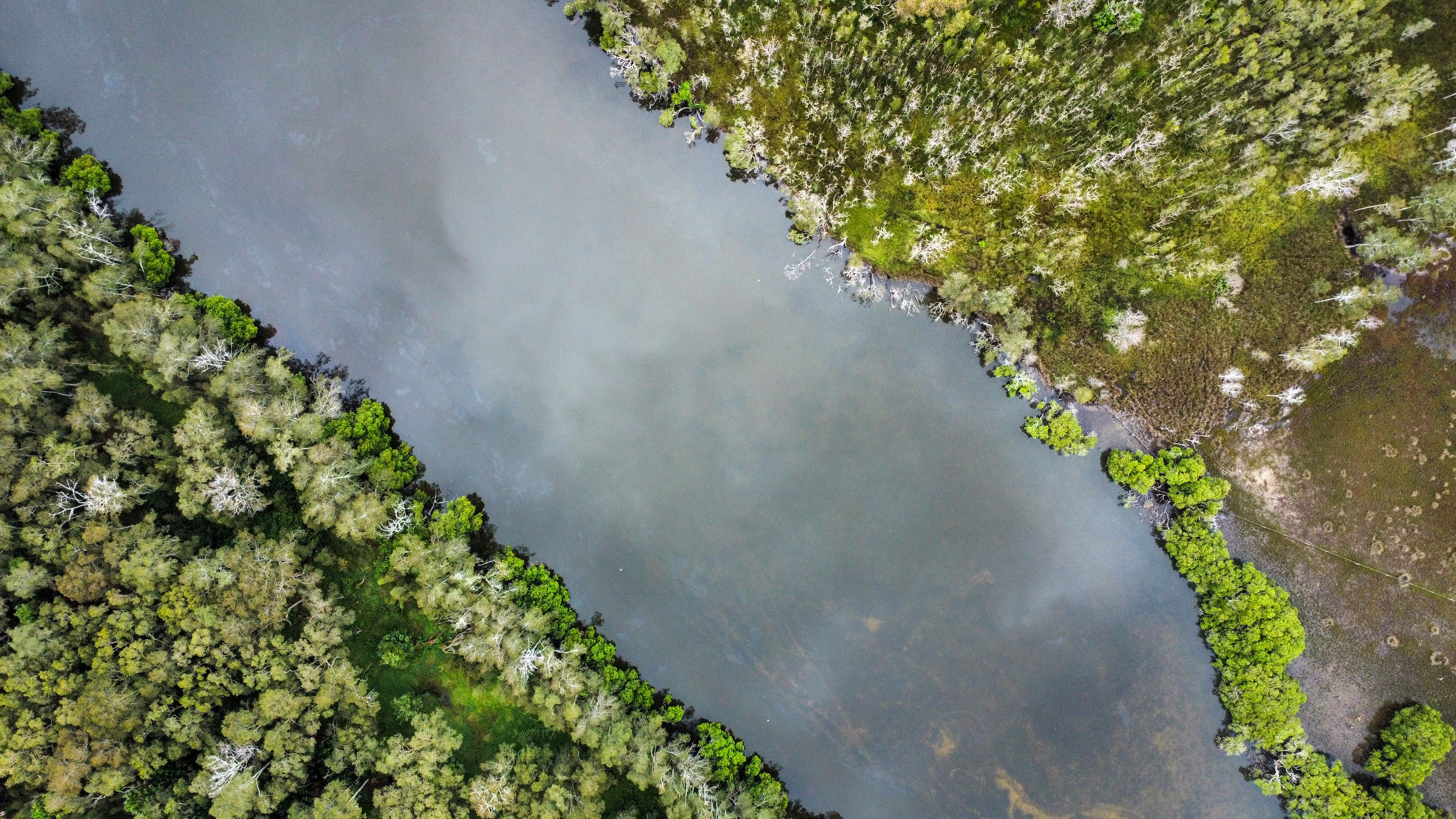 Aerial Photography of River · Free Stock Photo