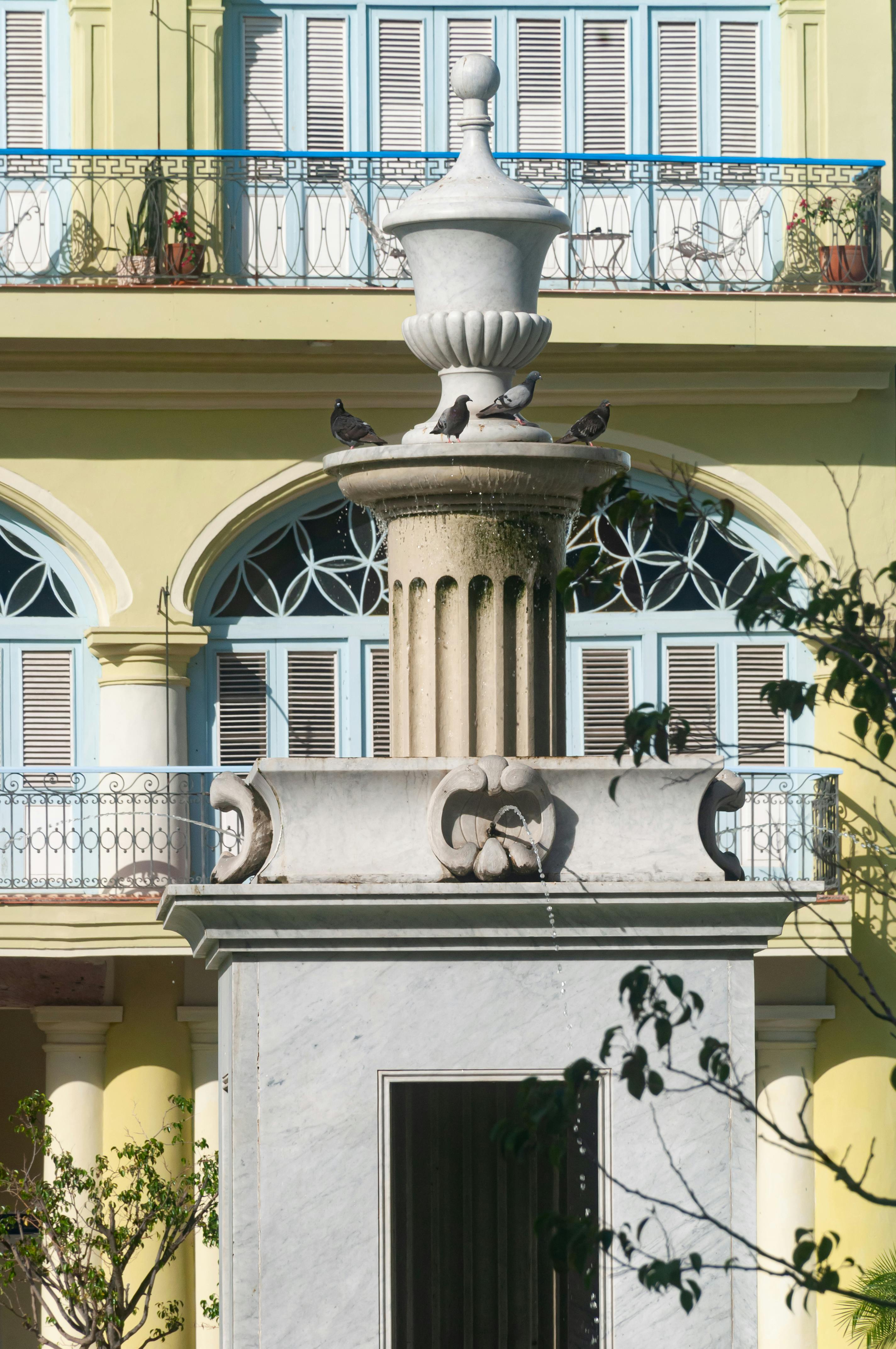 Monkeys Bathing in a Fountain · Free Stock Photo