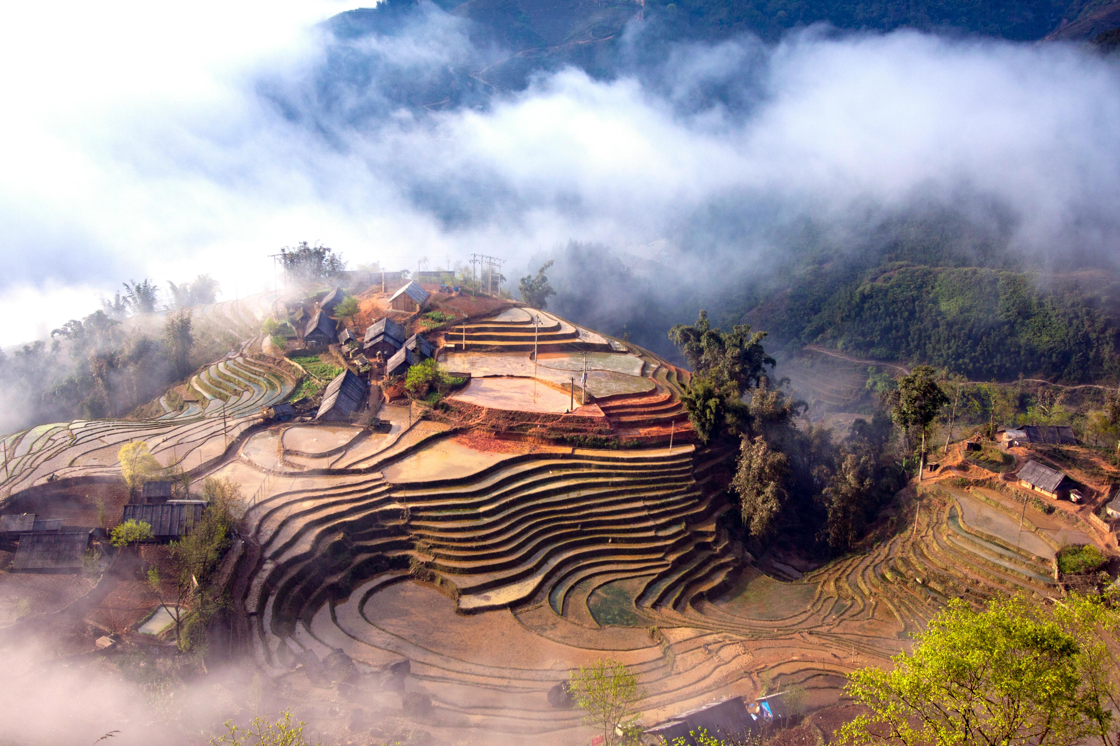 Rice Paddies over the Mountain Slopes · Free Stock Photo