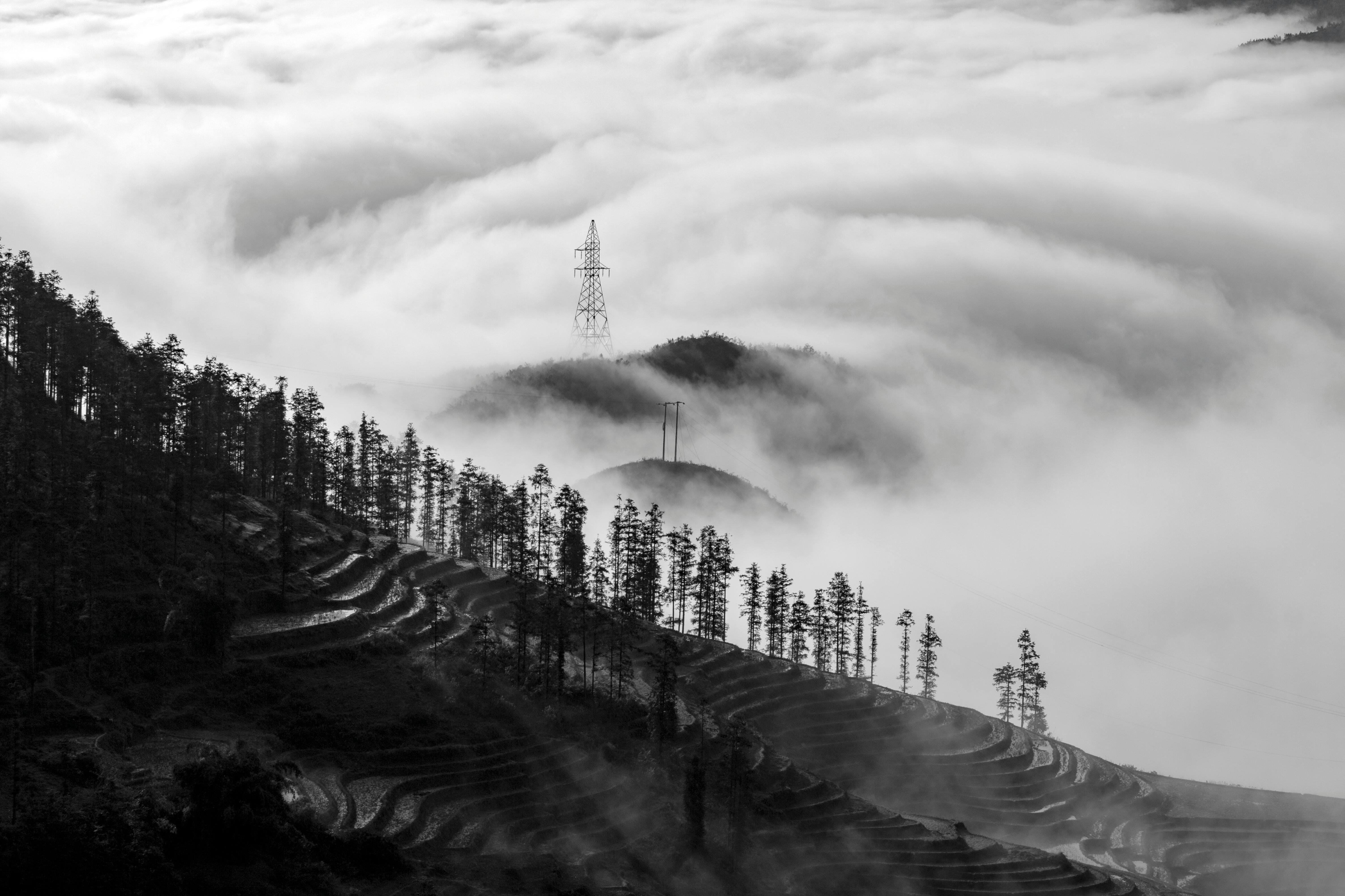 Overcast over Hill and Trees on Plains · Free Stock Photo