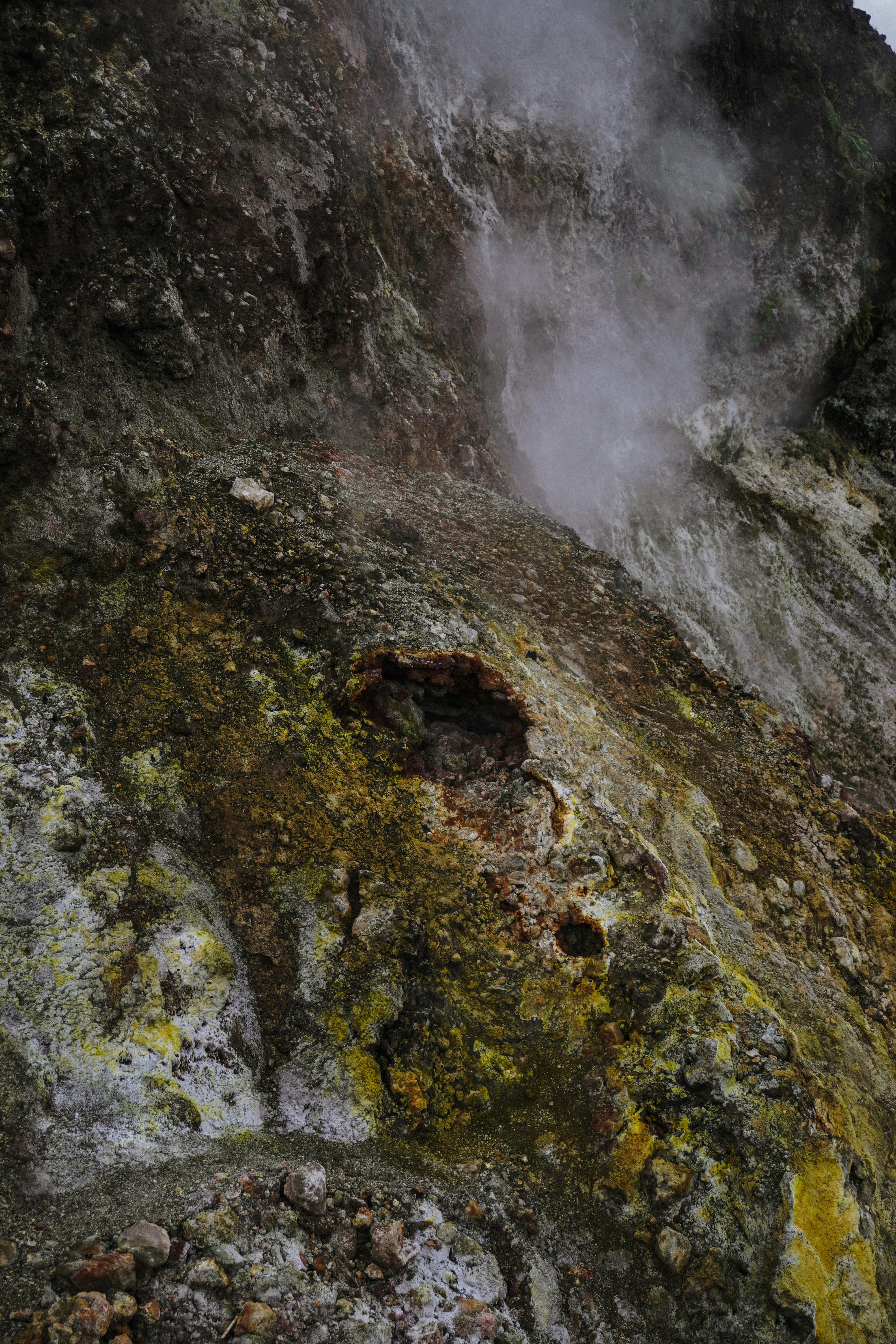 Green Grass Field With Fog · Free Stock Photo