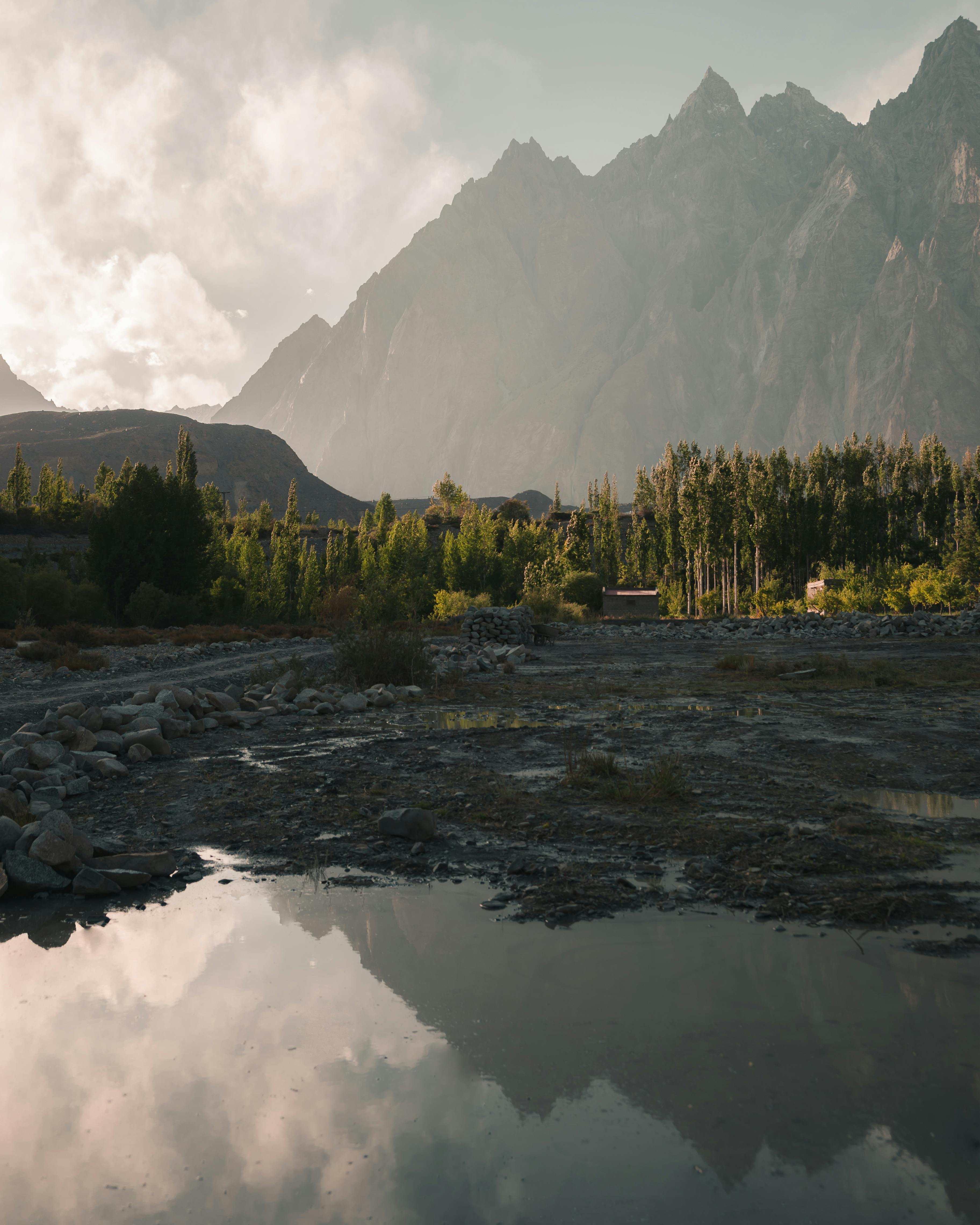 Green Trees Under Cloudy Sky · Free Stock Photo