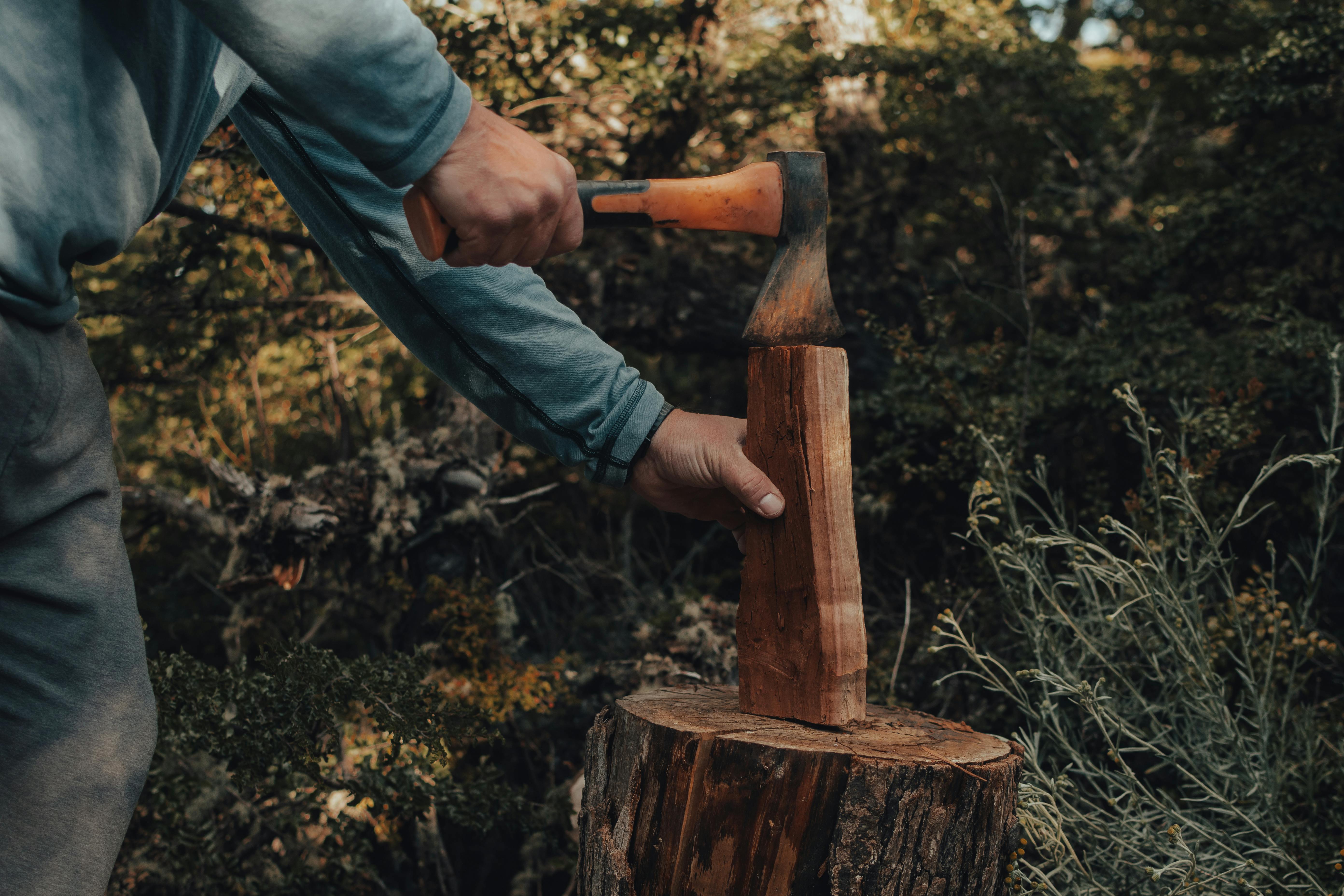 A Man Chopping the Tree using Axe · Free Stock Photo