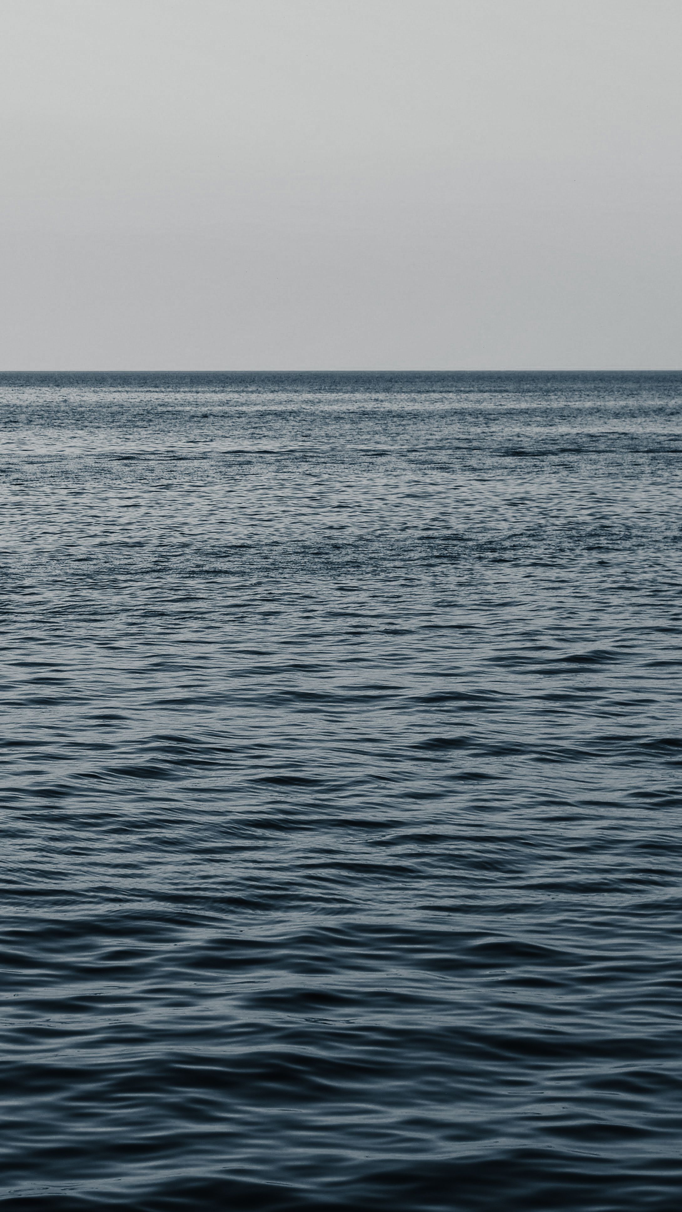 Wave in Sea · Free Stock Photo