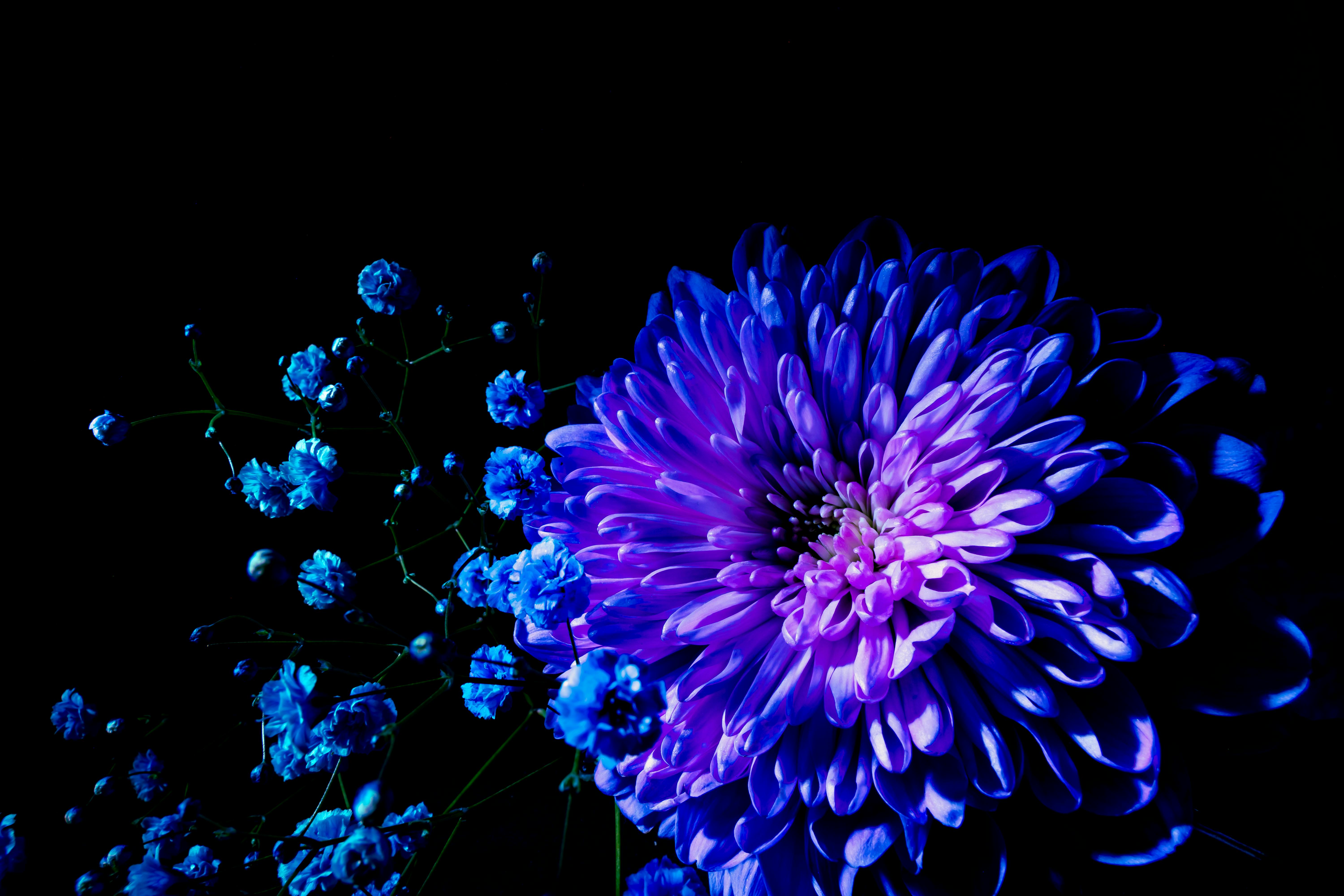 KLT Dinusha - 摄影