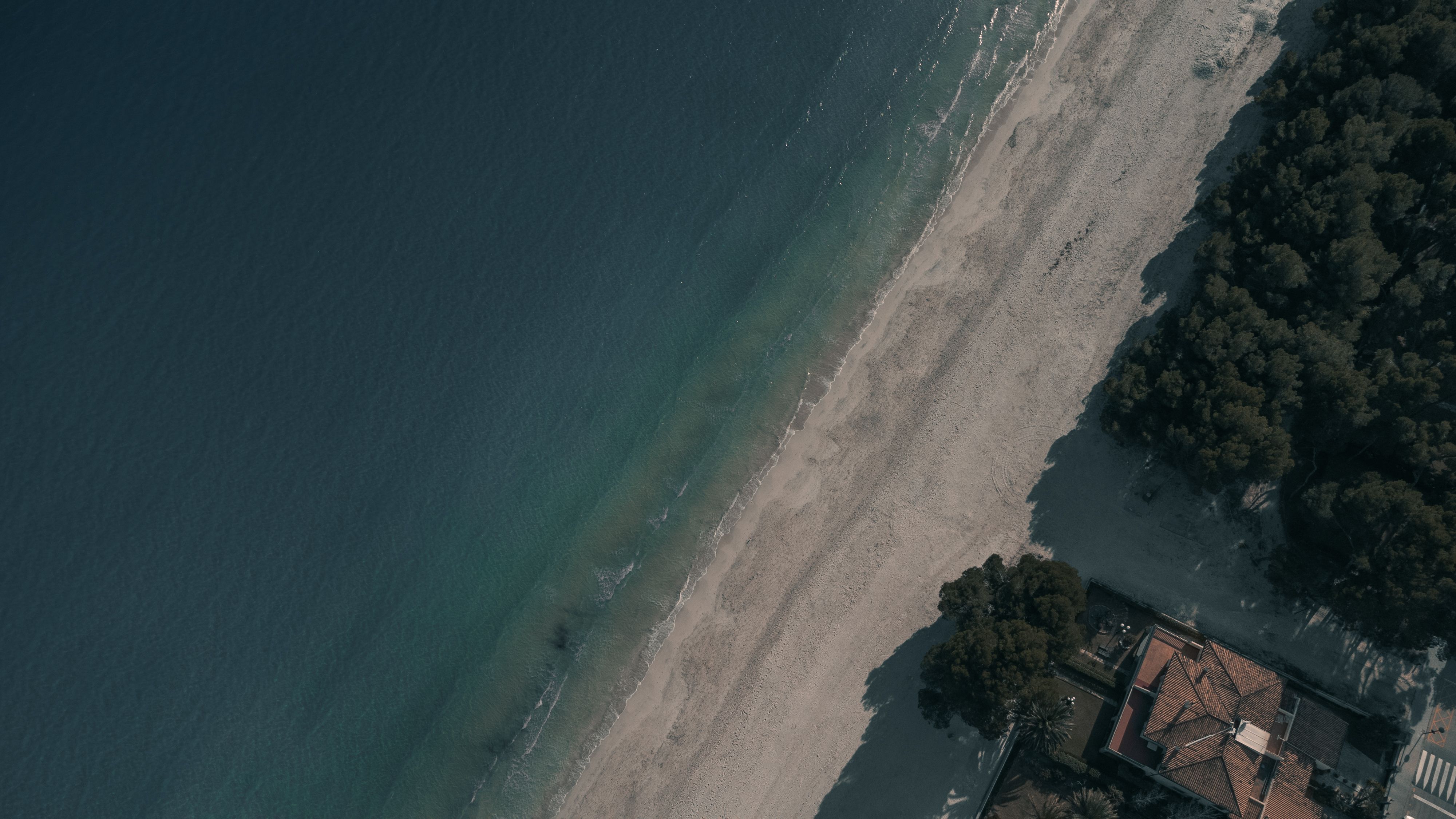 Boats around Sand Island on Sea Shore · Free Stock Photo