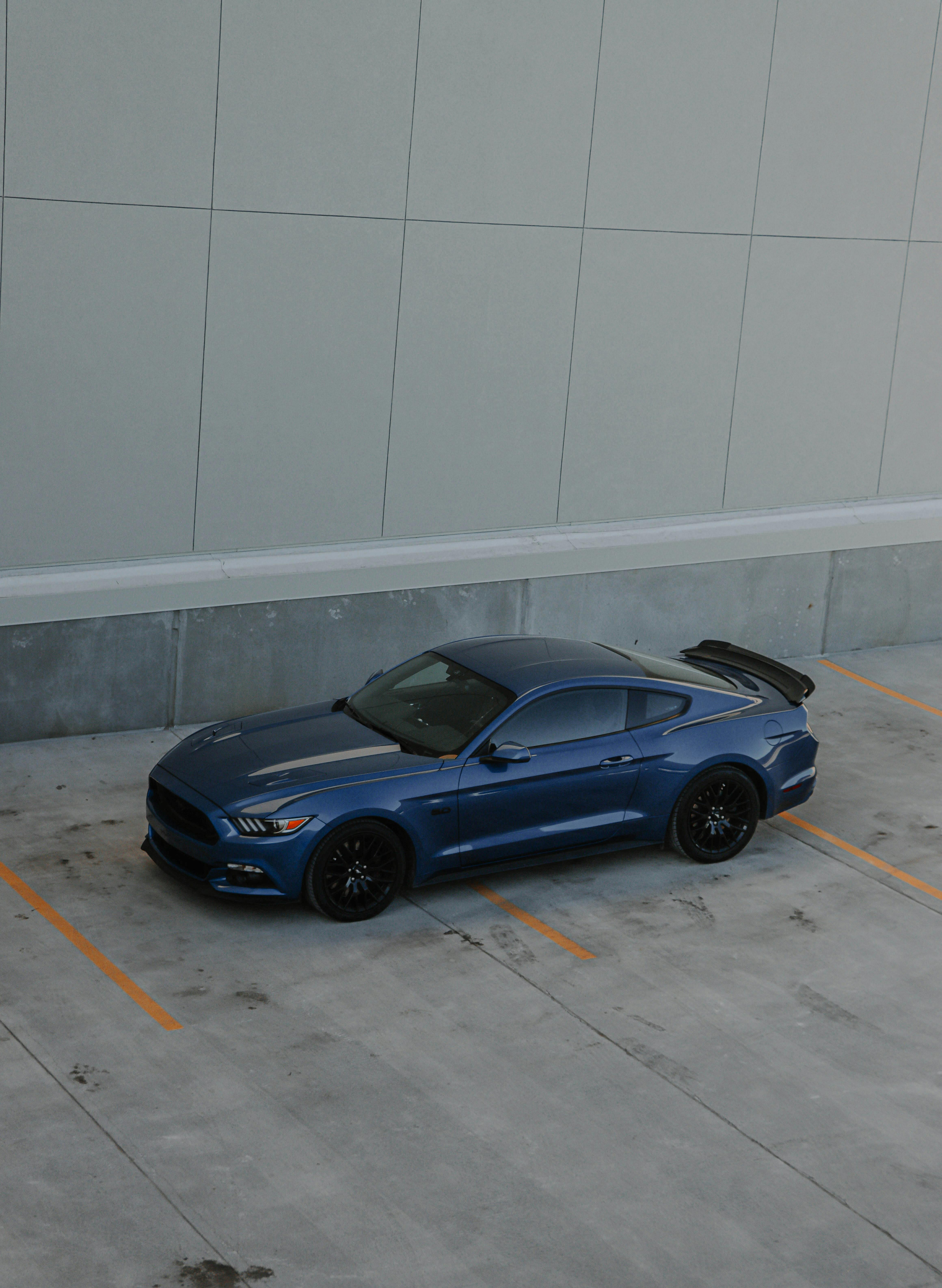 Blue Mustang Photos, Download The BEST Free Blue Mustang Stock Photos ...