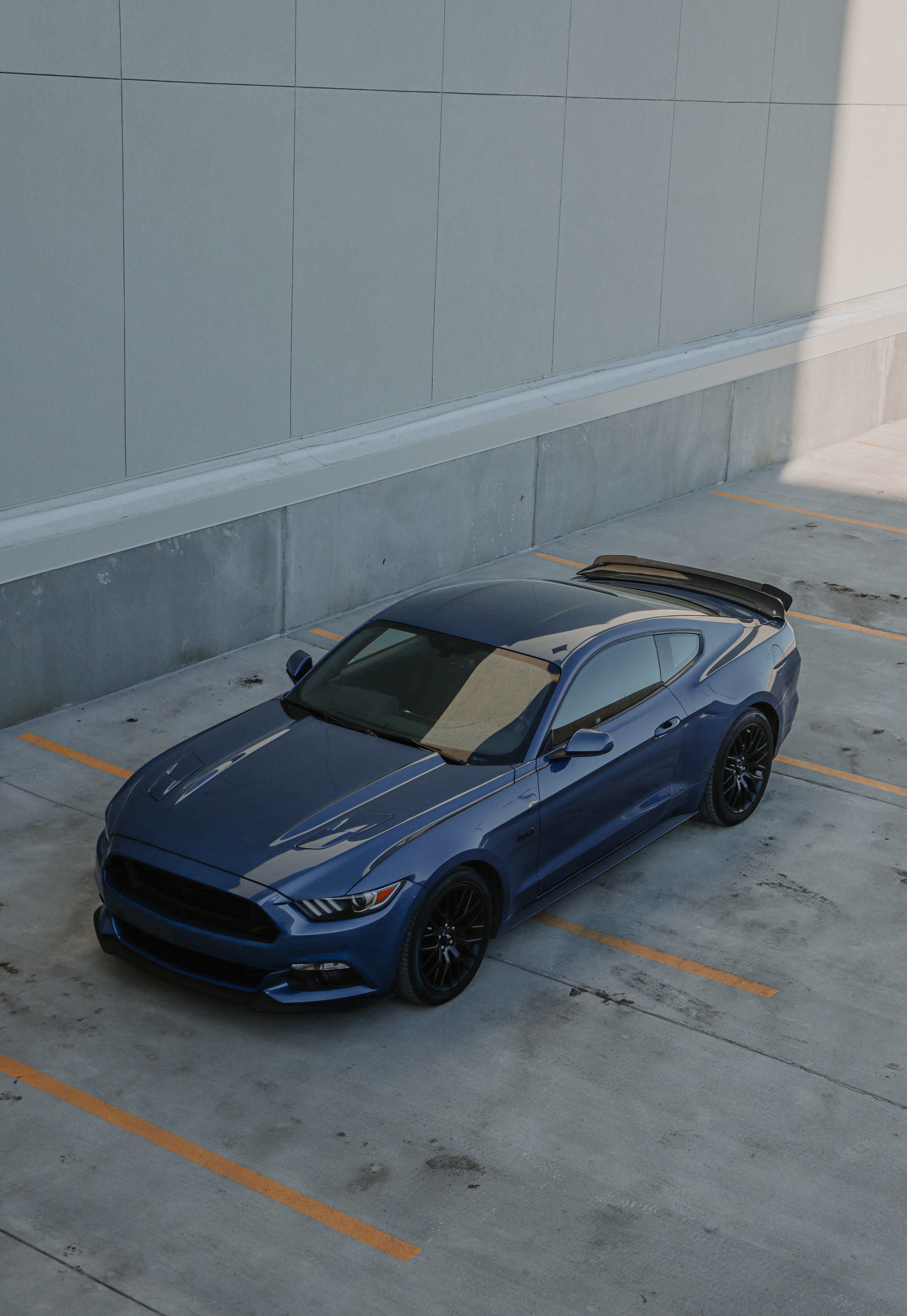 Blue Mustang Photos, Download The BEST Free Blue Mustang Stock Photos ...