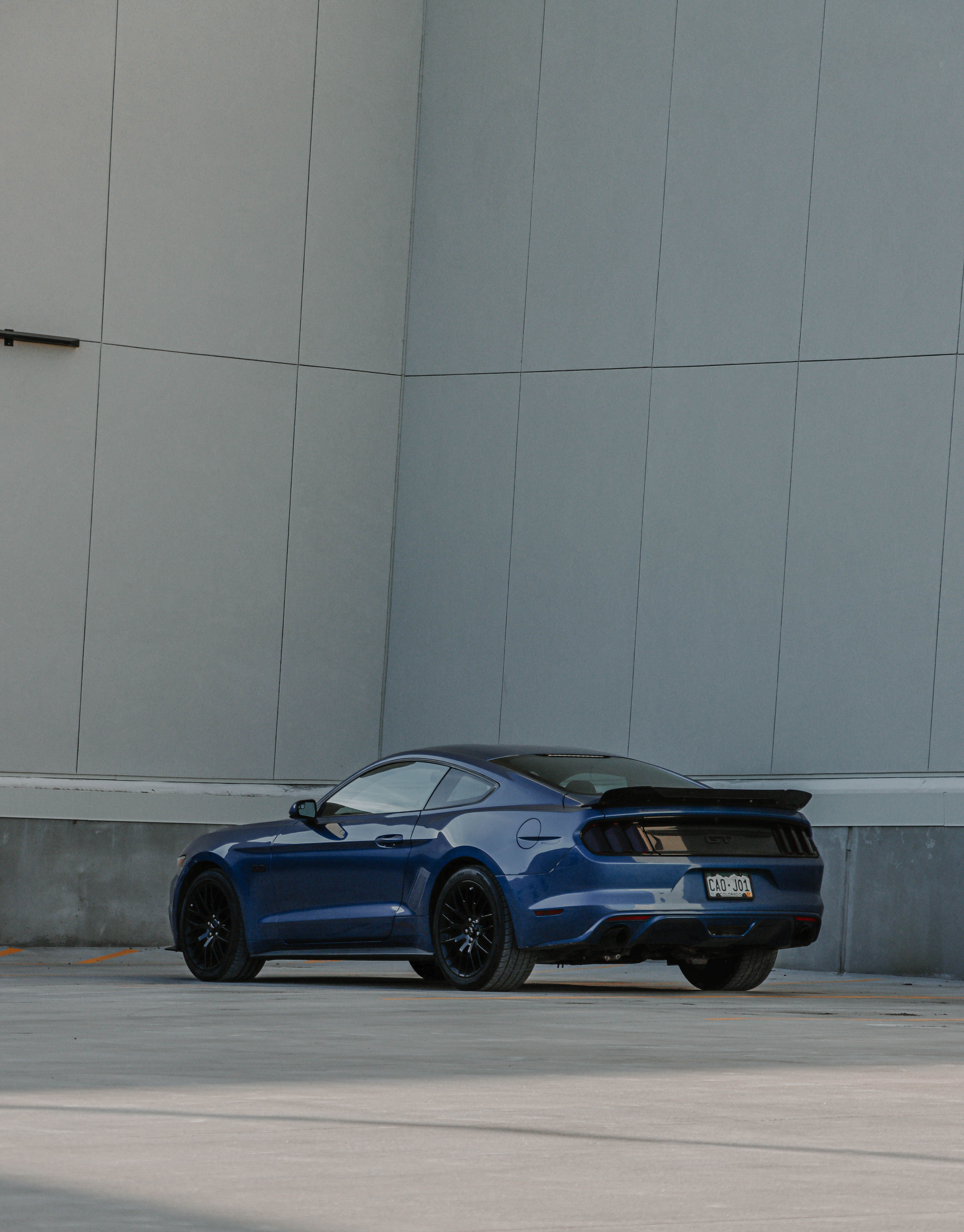 Blue Mustang Photos, Download The BEST Free Blue Mustang Stock Photos ...