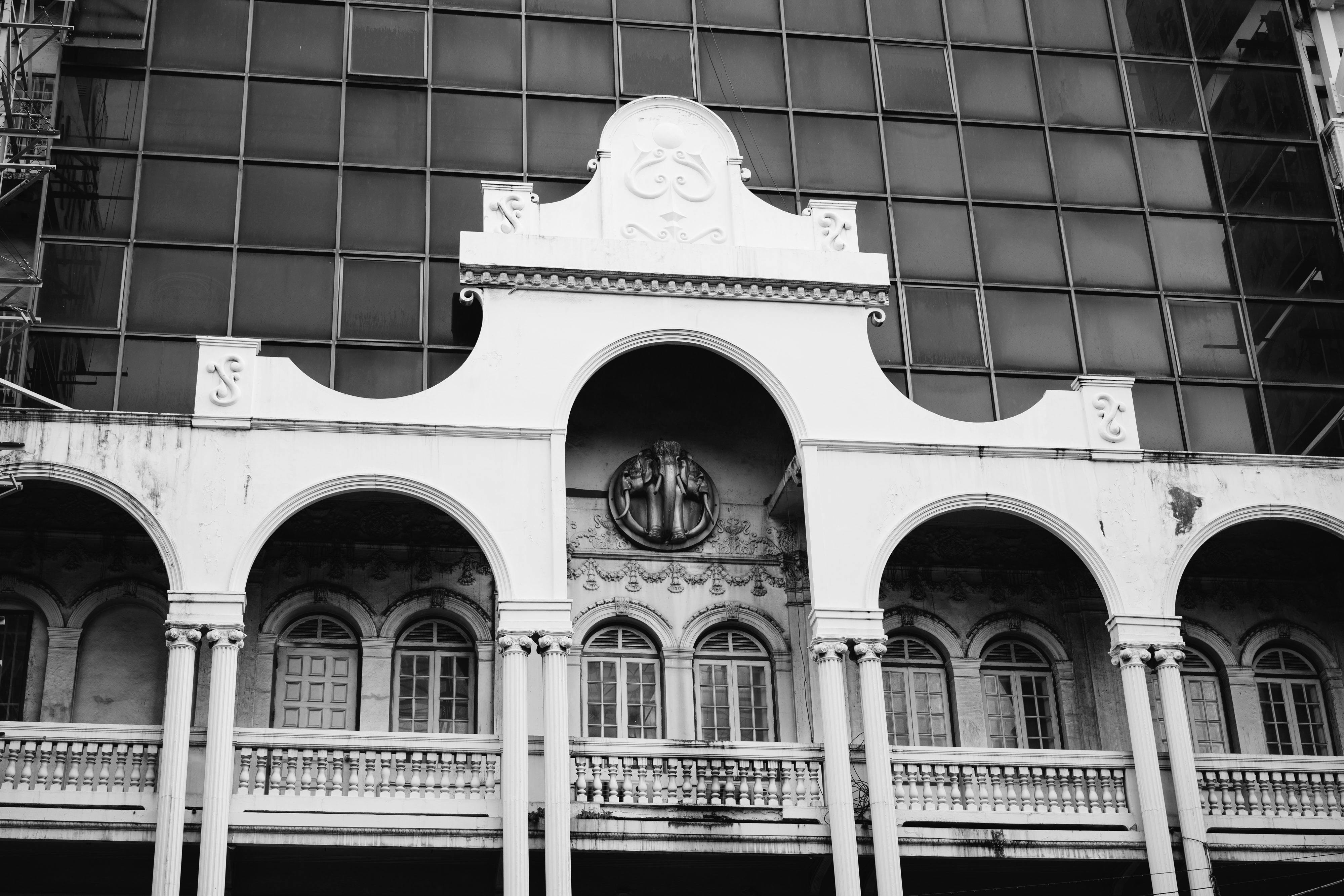 Siames Photos, Download The BEST Free Siames Stock Photos & HD Images