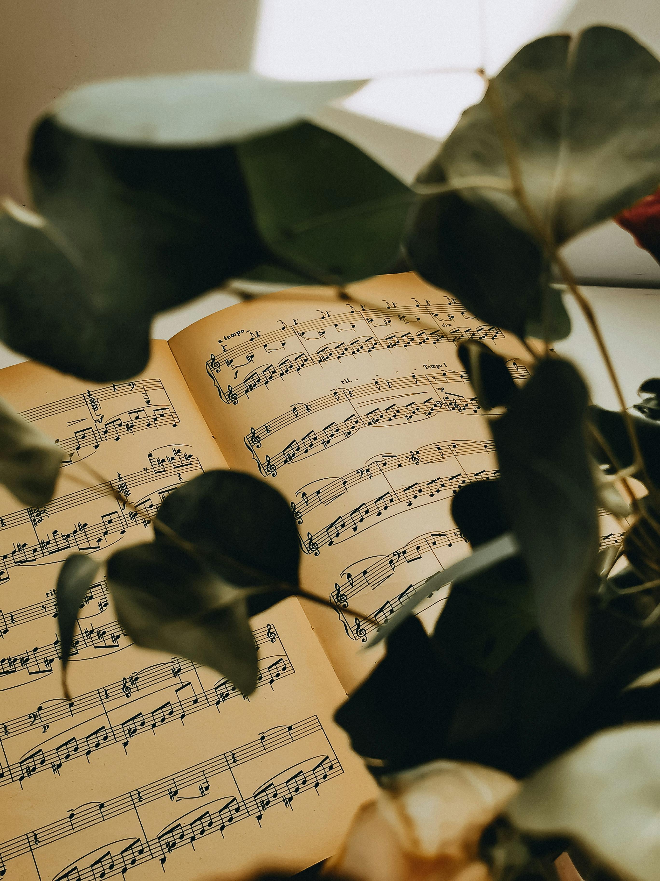 Music Pages Photos, Download The BEST Free Music Pages Stock Photos ...