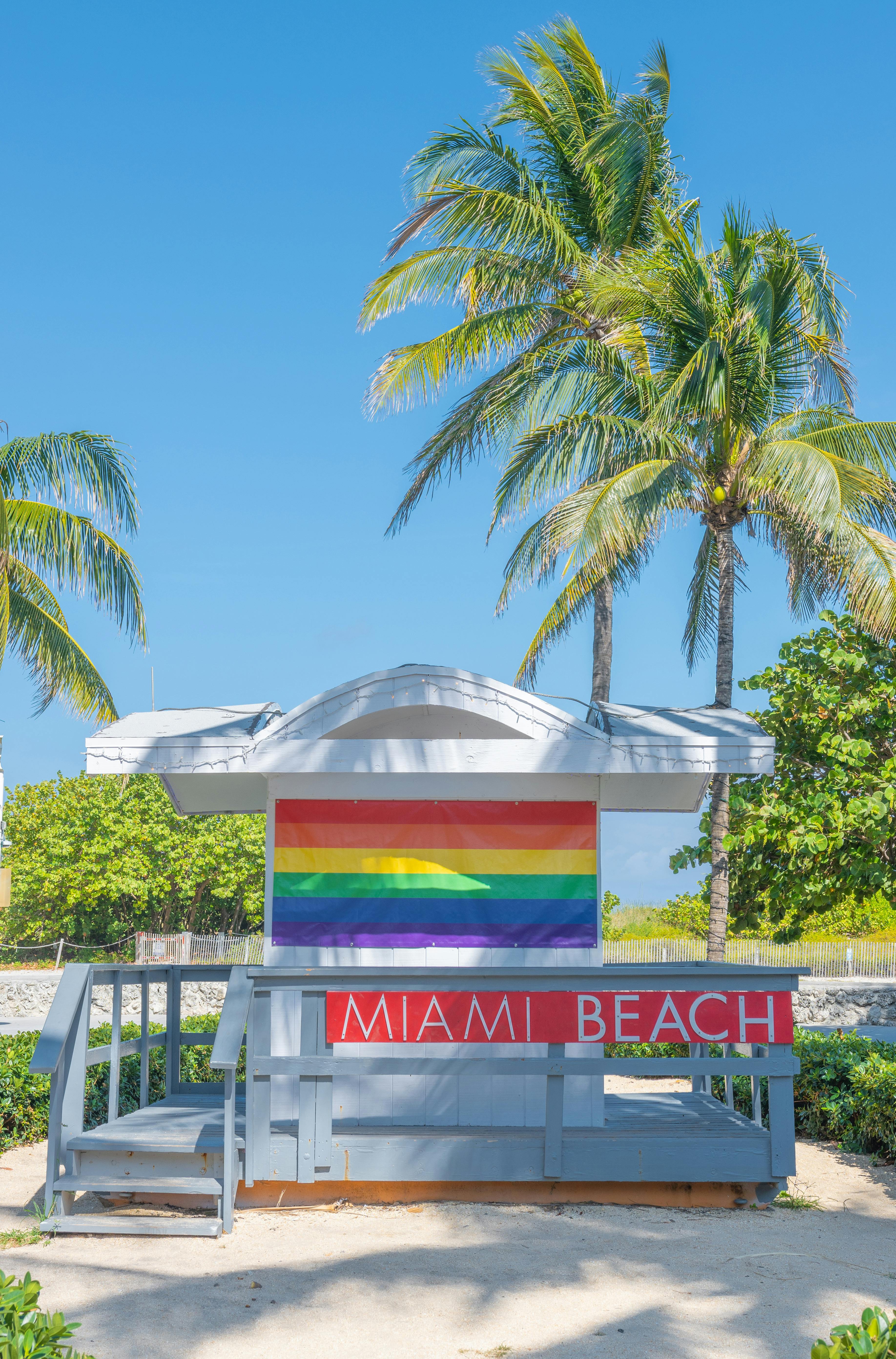 Miami Pride Photos, Download The BEST Free Miami Pride Stock Photos ...