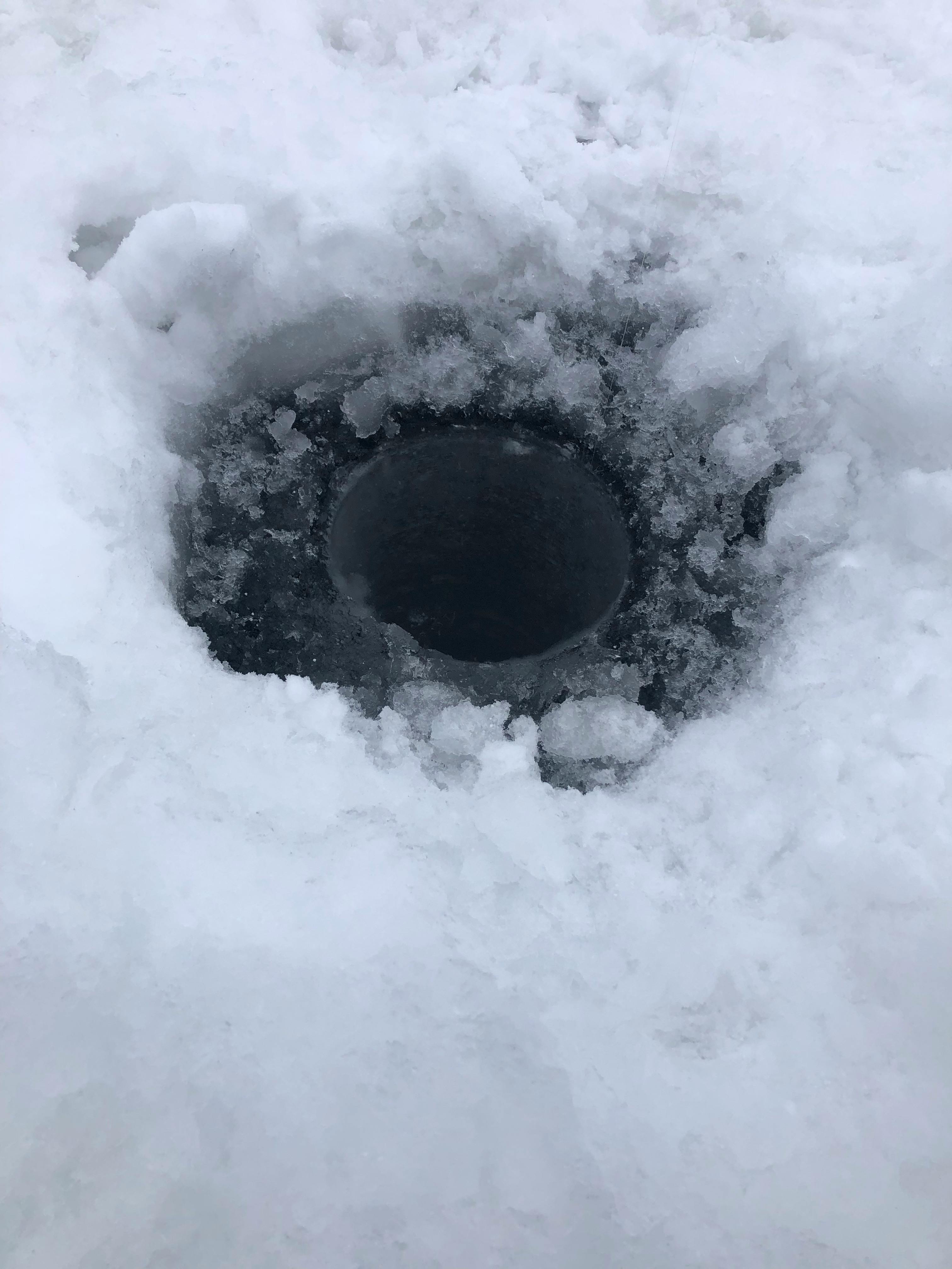 Michel Mailloux - Fotografía