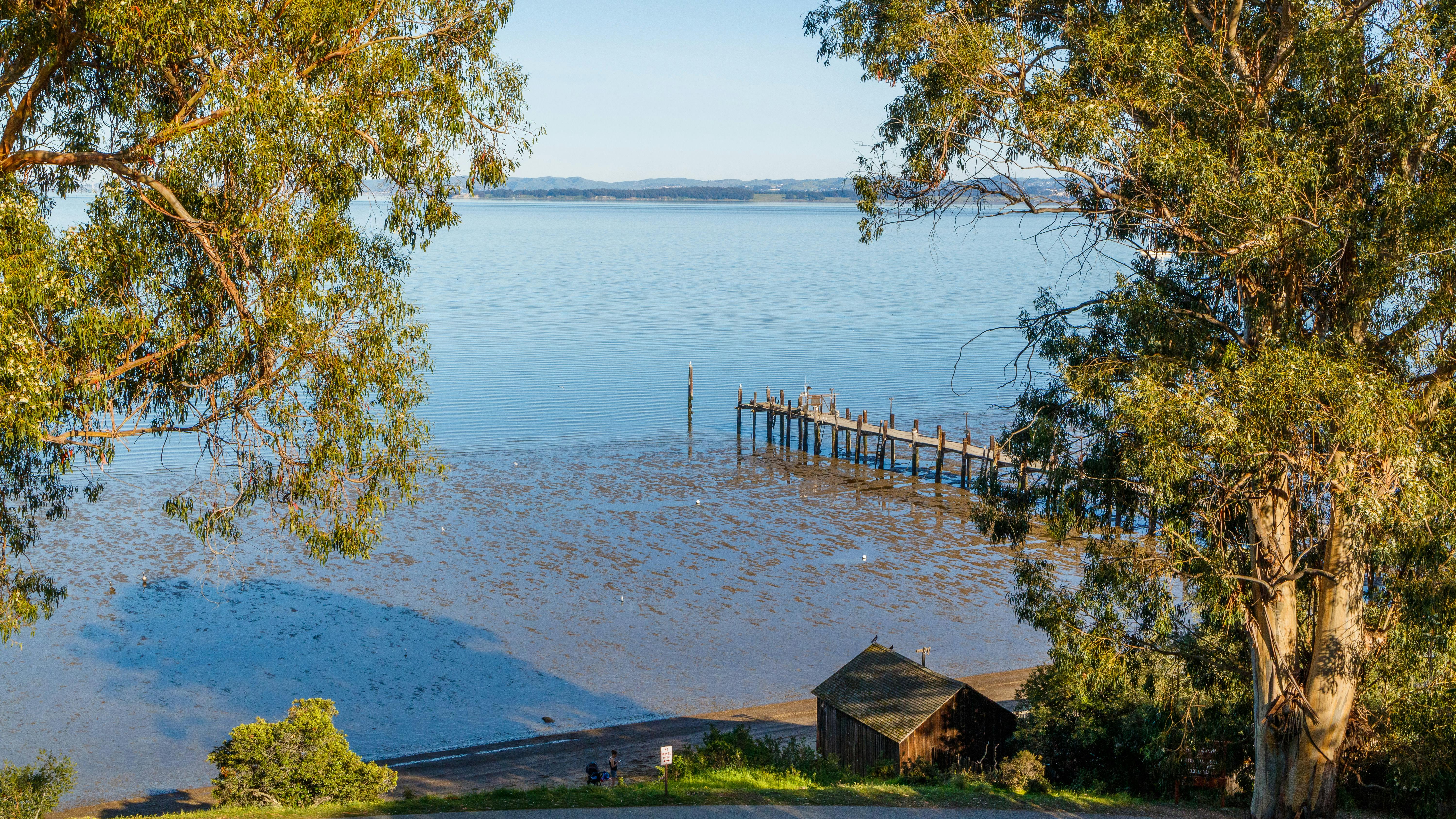 Woman in Bohemian Style Robe Standing on Wooden Dock · Free Stock Photo