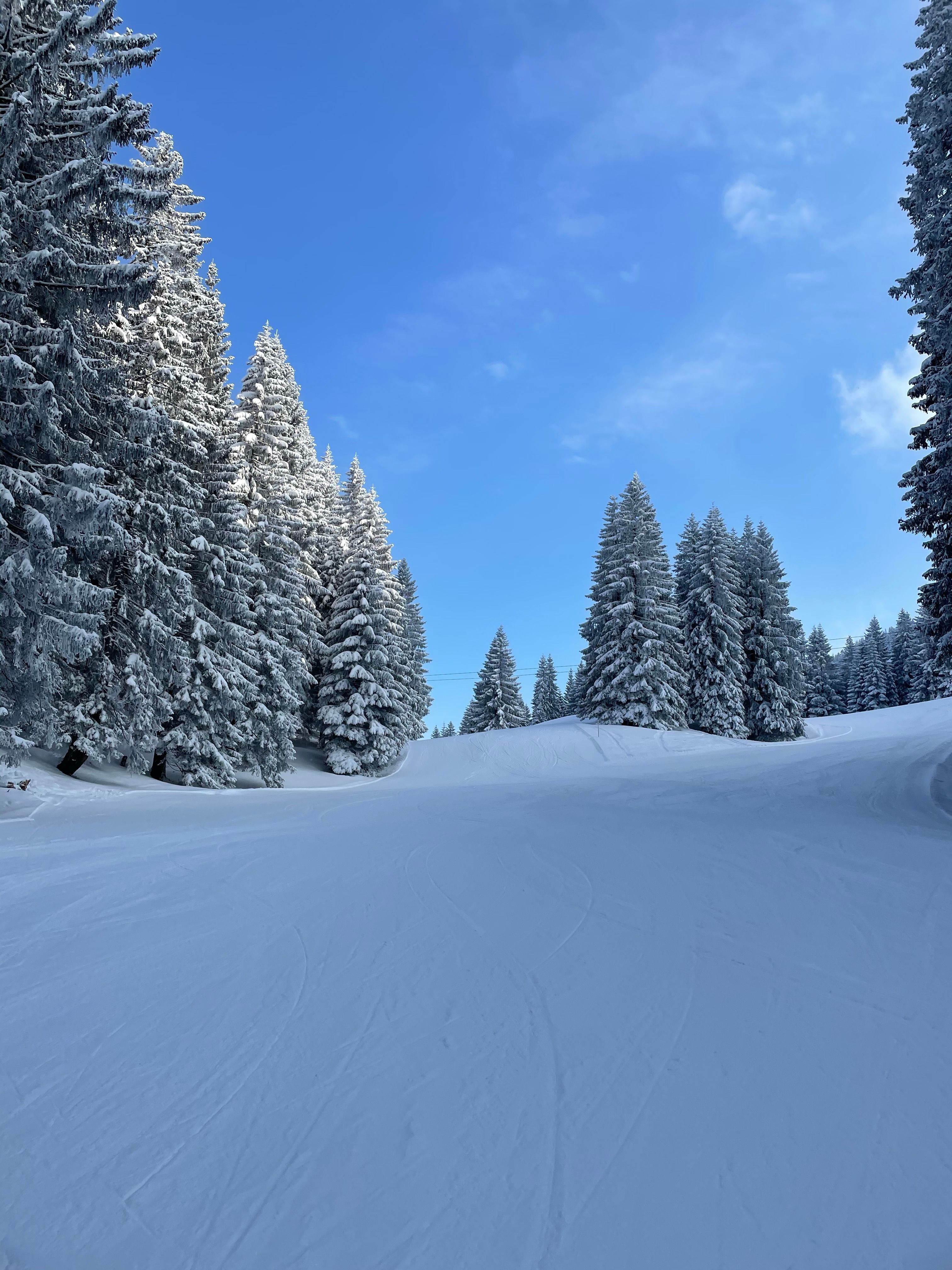 Aerial View of Snow Covered Land · Free Stock Photo