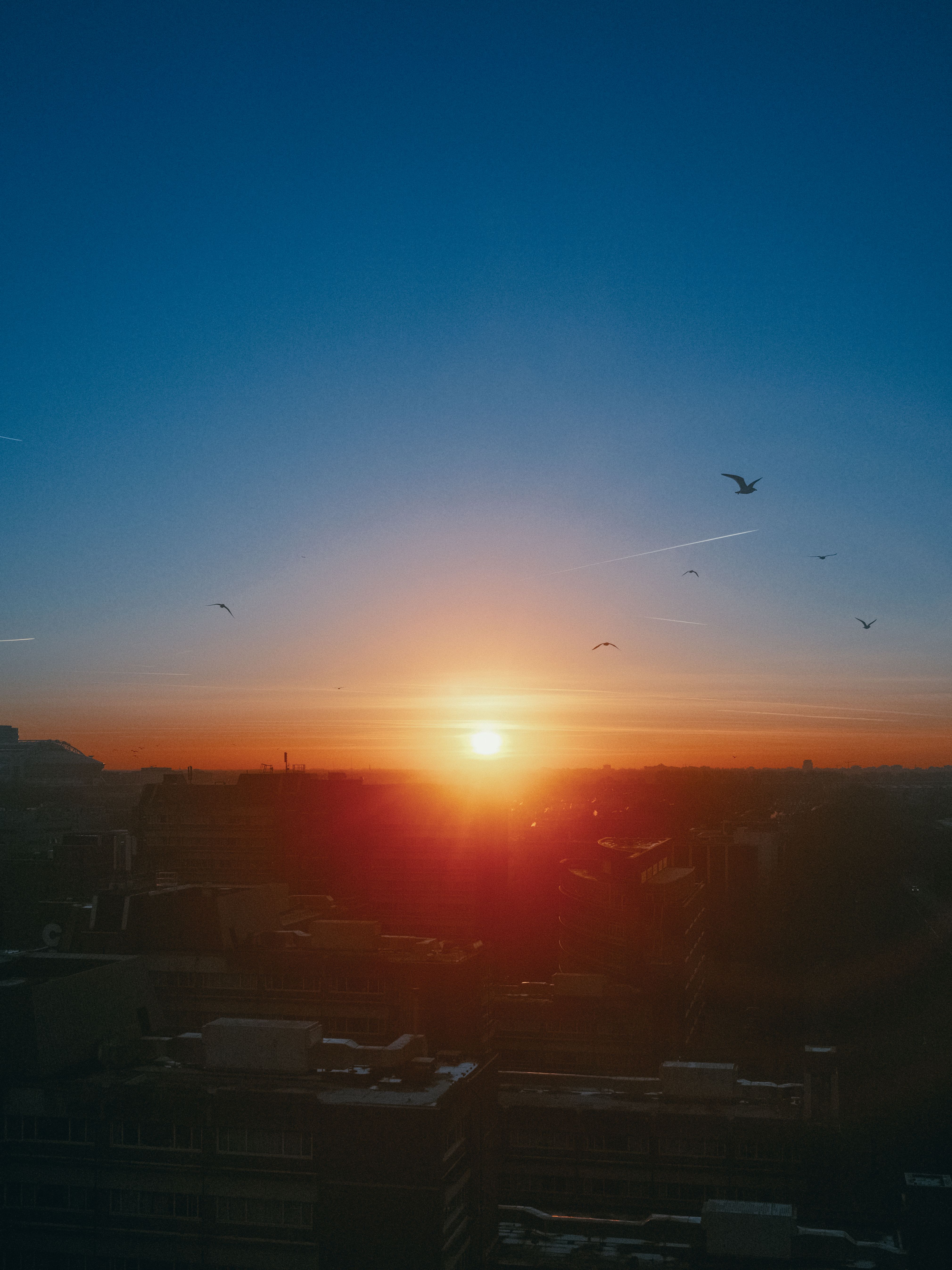 Photo Of Dessert During Dawn · Free Stock Photo