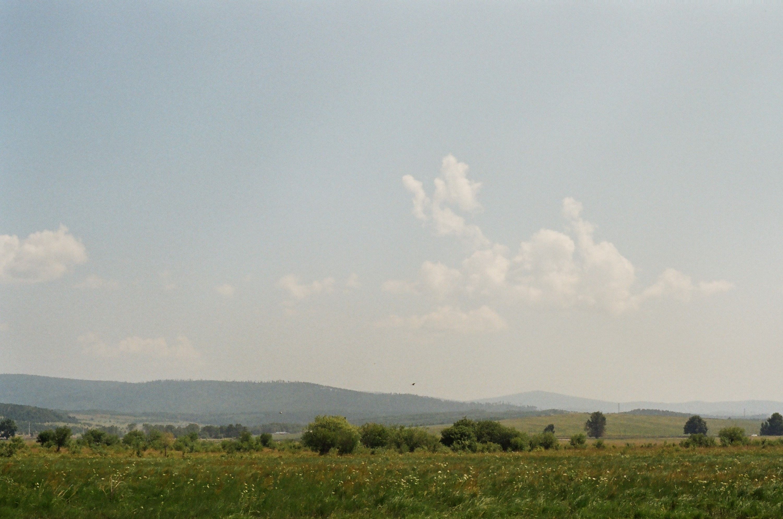 Green Grass Field Under the Blue Sky · Free Stock Photo