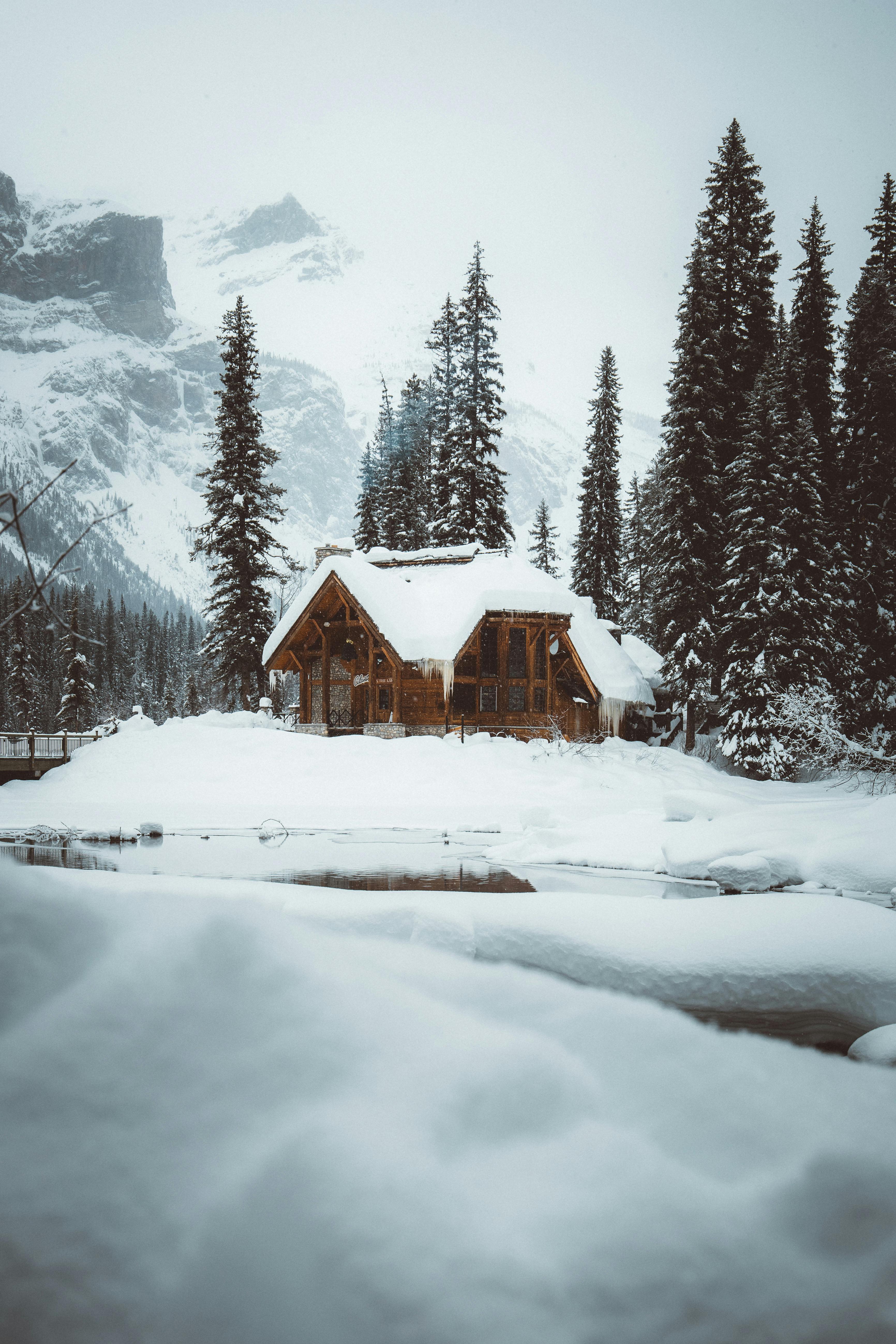 Brown Wooden House on Snow Covered Ground · Free Stock Photo