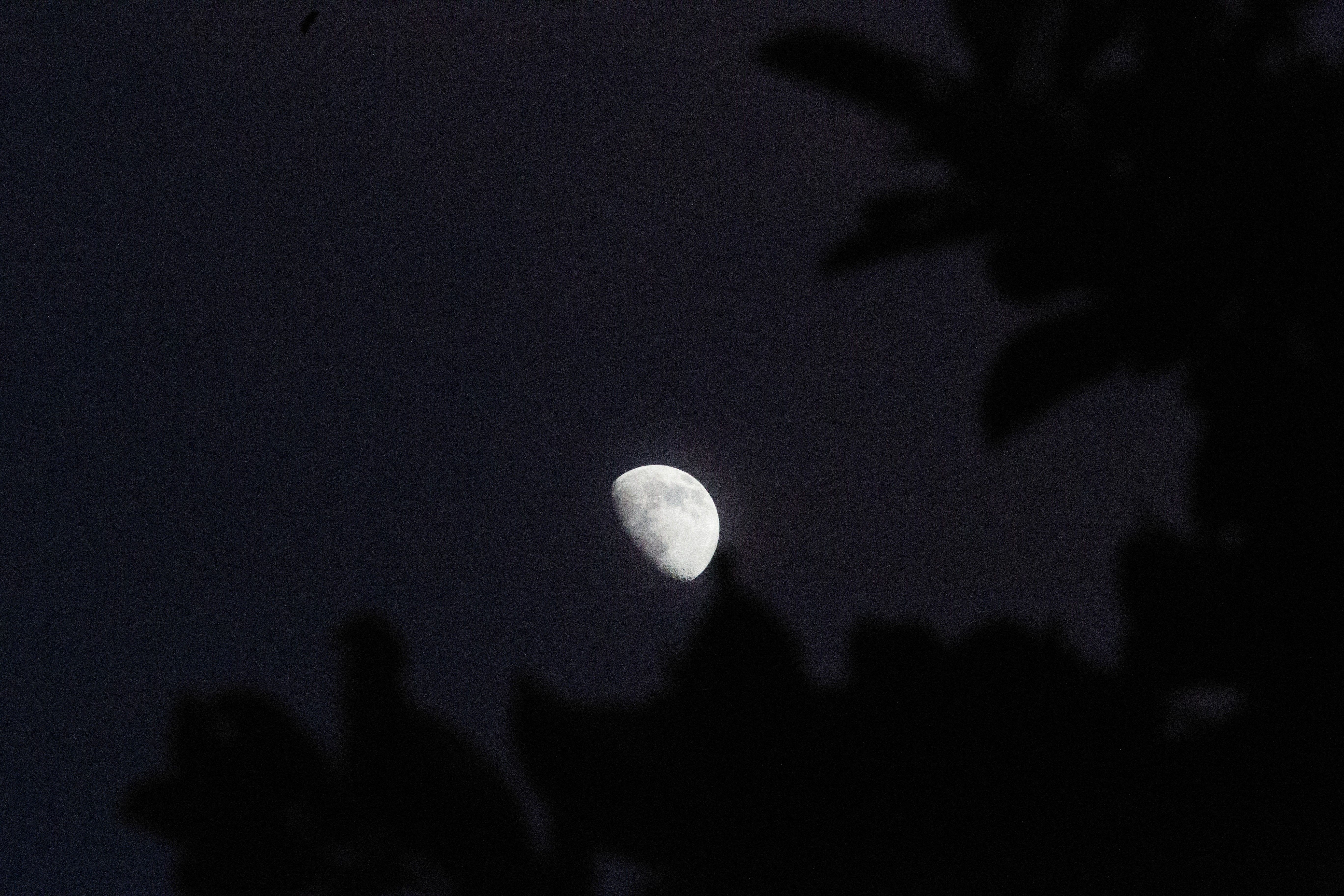 Dark Night Photos, Download The BEST Free Dark Night Stock Photos & HD ...