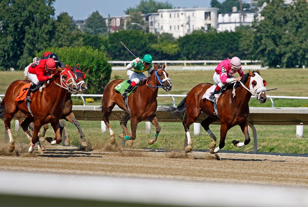 Exploring the Different Types of Horse Racing: A Guide
