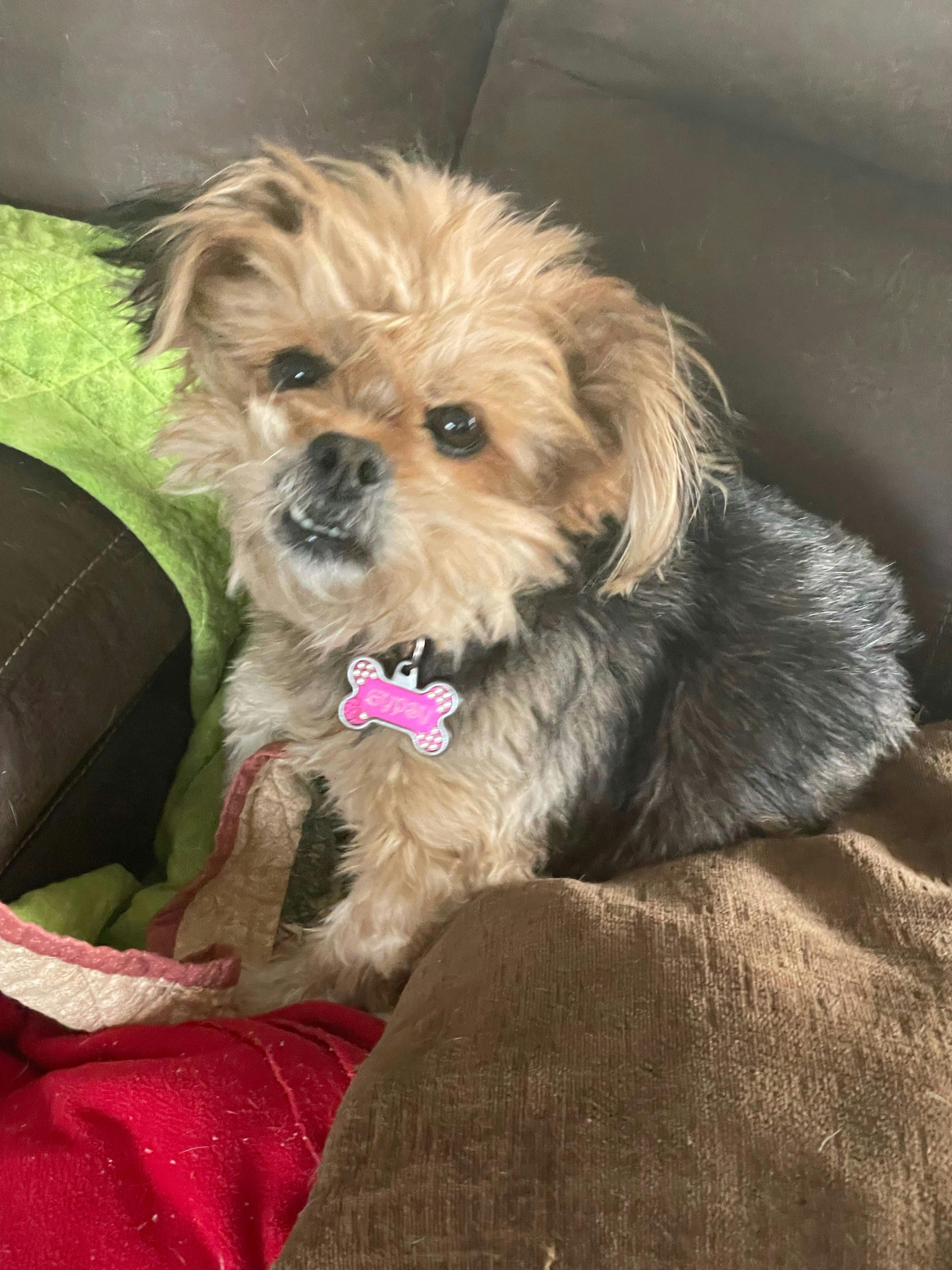 Sherry Howe - Photography