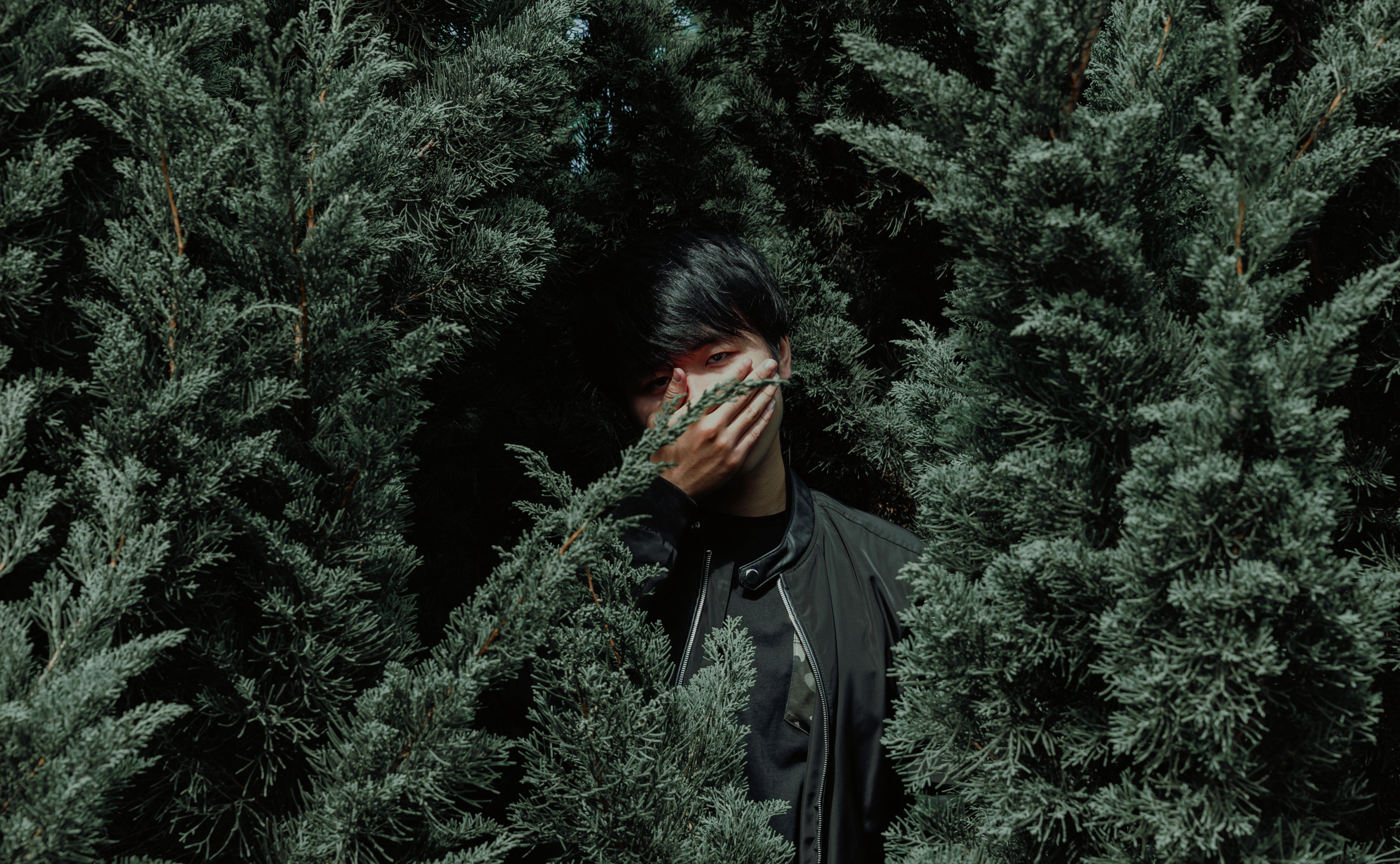 Human Pine Photos, Download The BEST Free Human Pine Stock Photos & HD ...