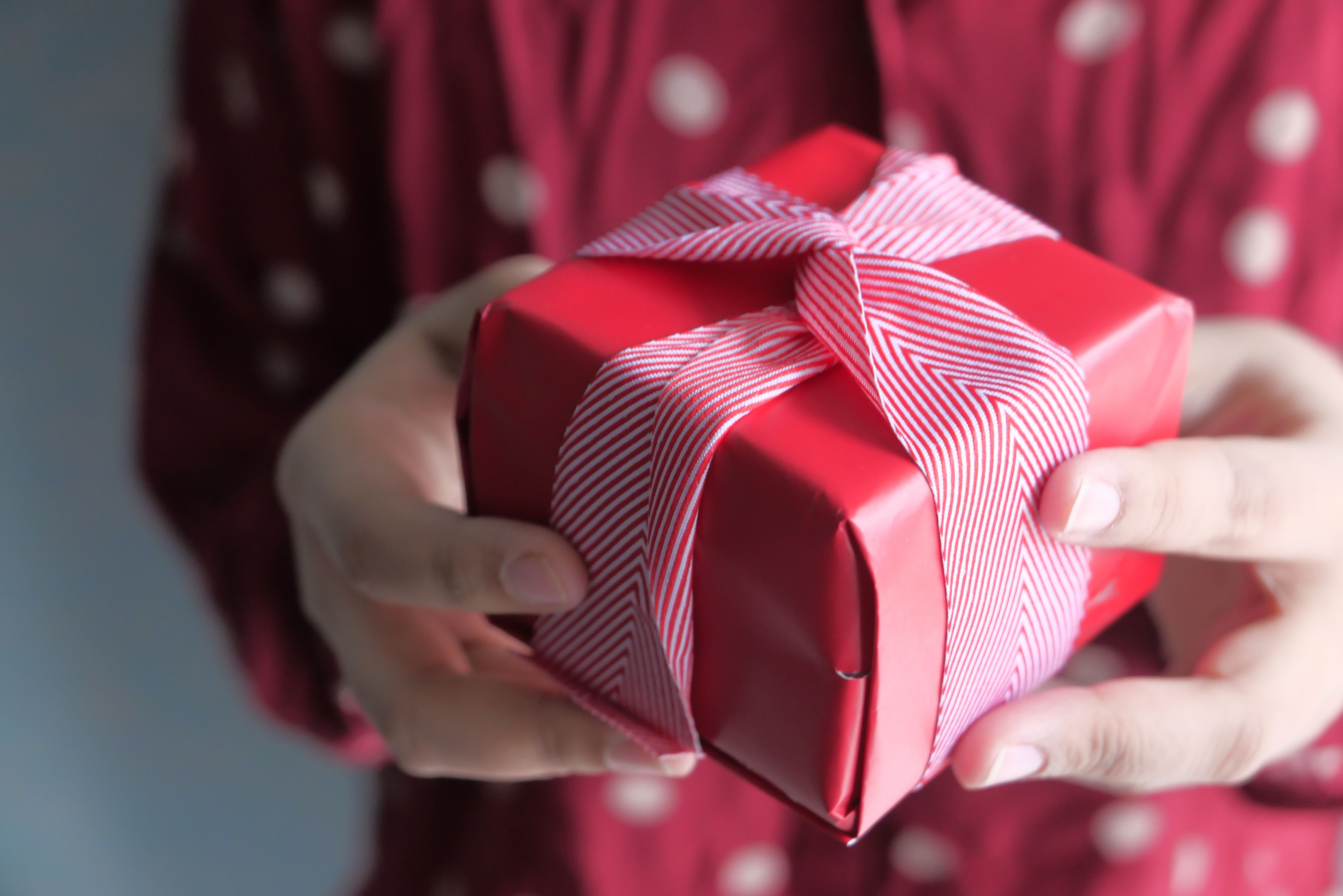 Person Holding a Gift · Free Stock Photo