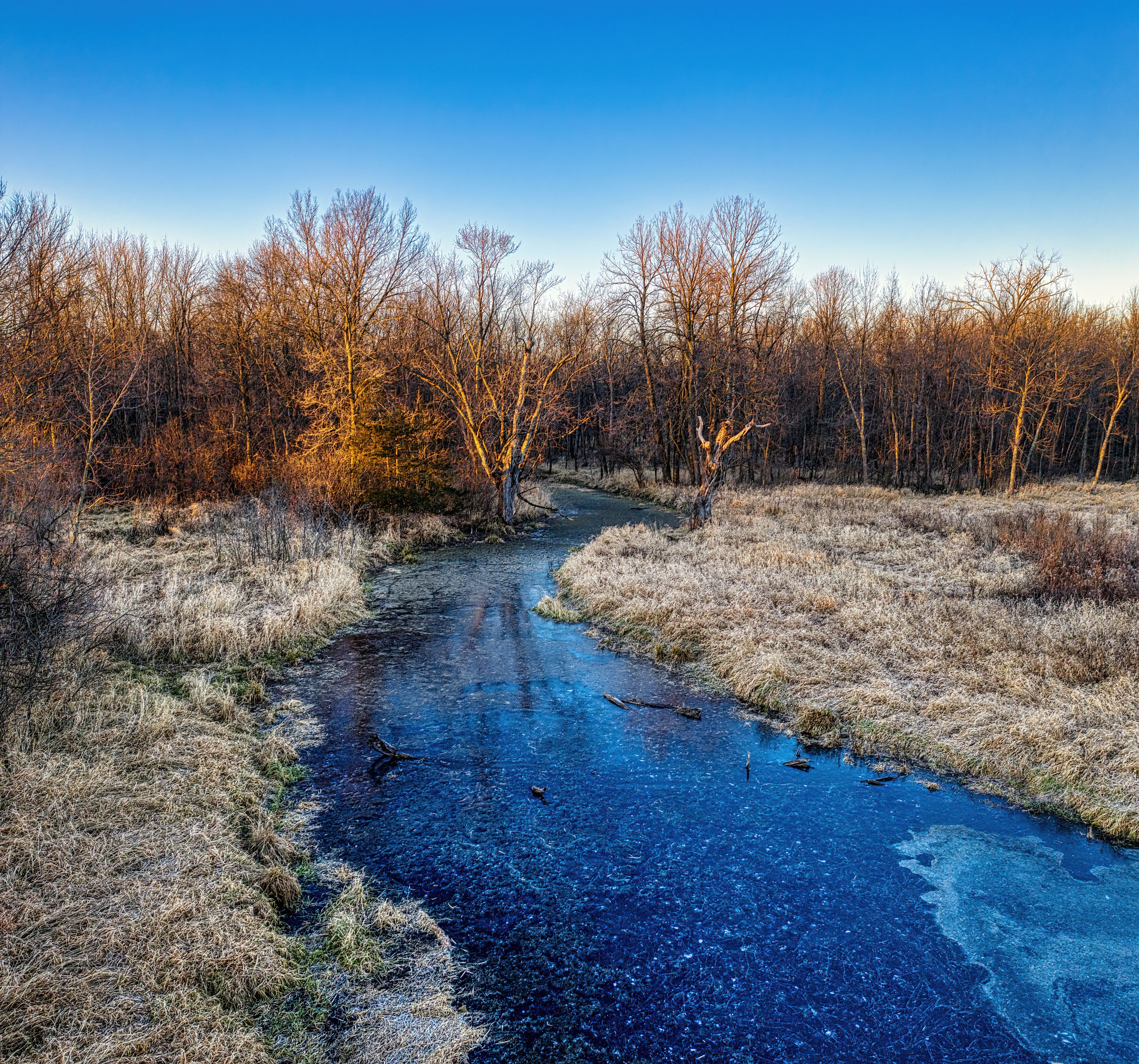Clear Sky over River and Trees · Free Stock Photo