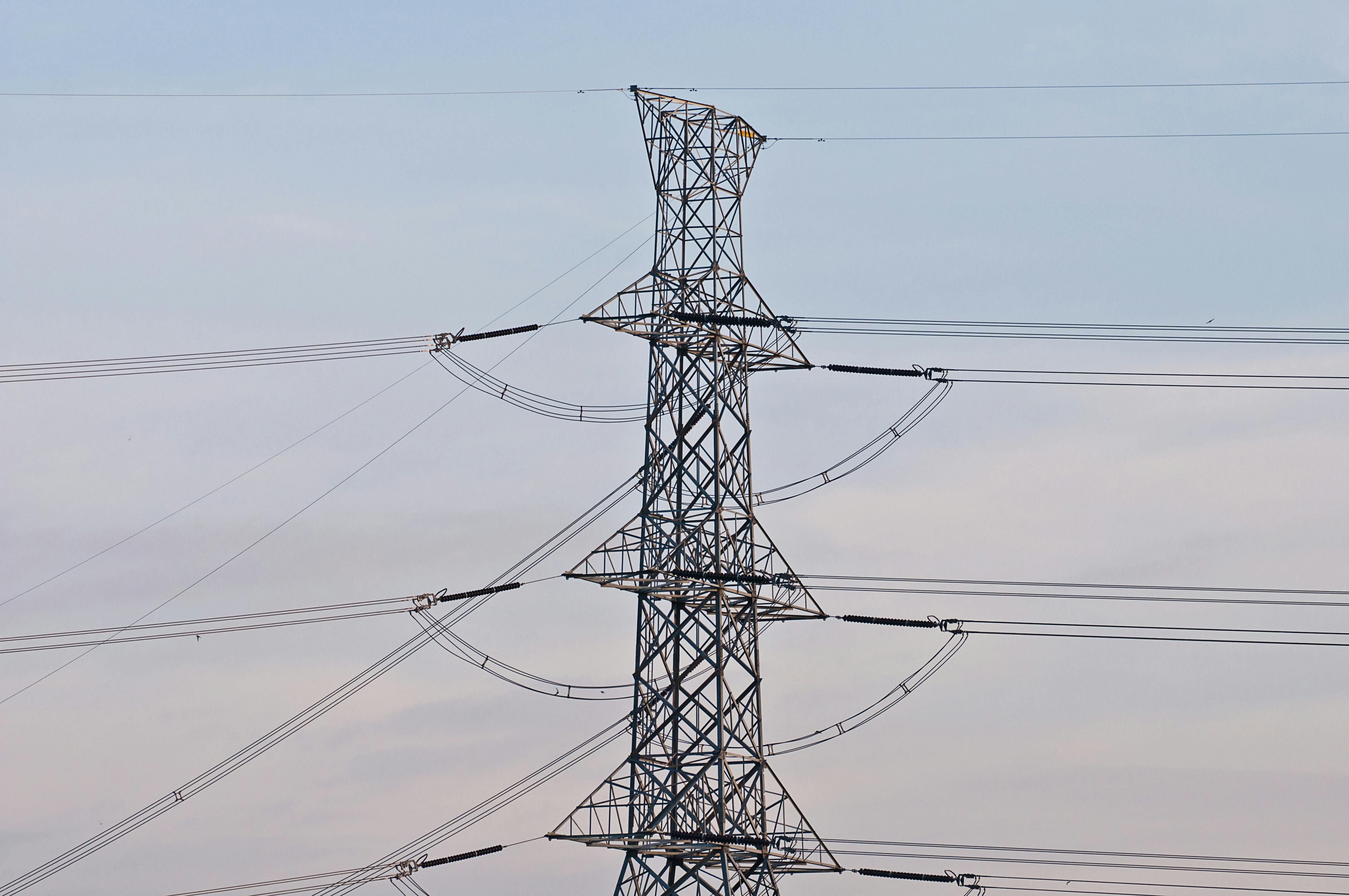 Green Grass Field With Electric Posts · Free Stock Photo