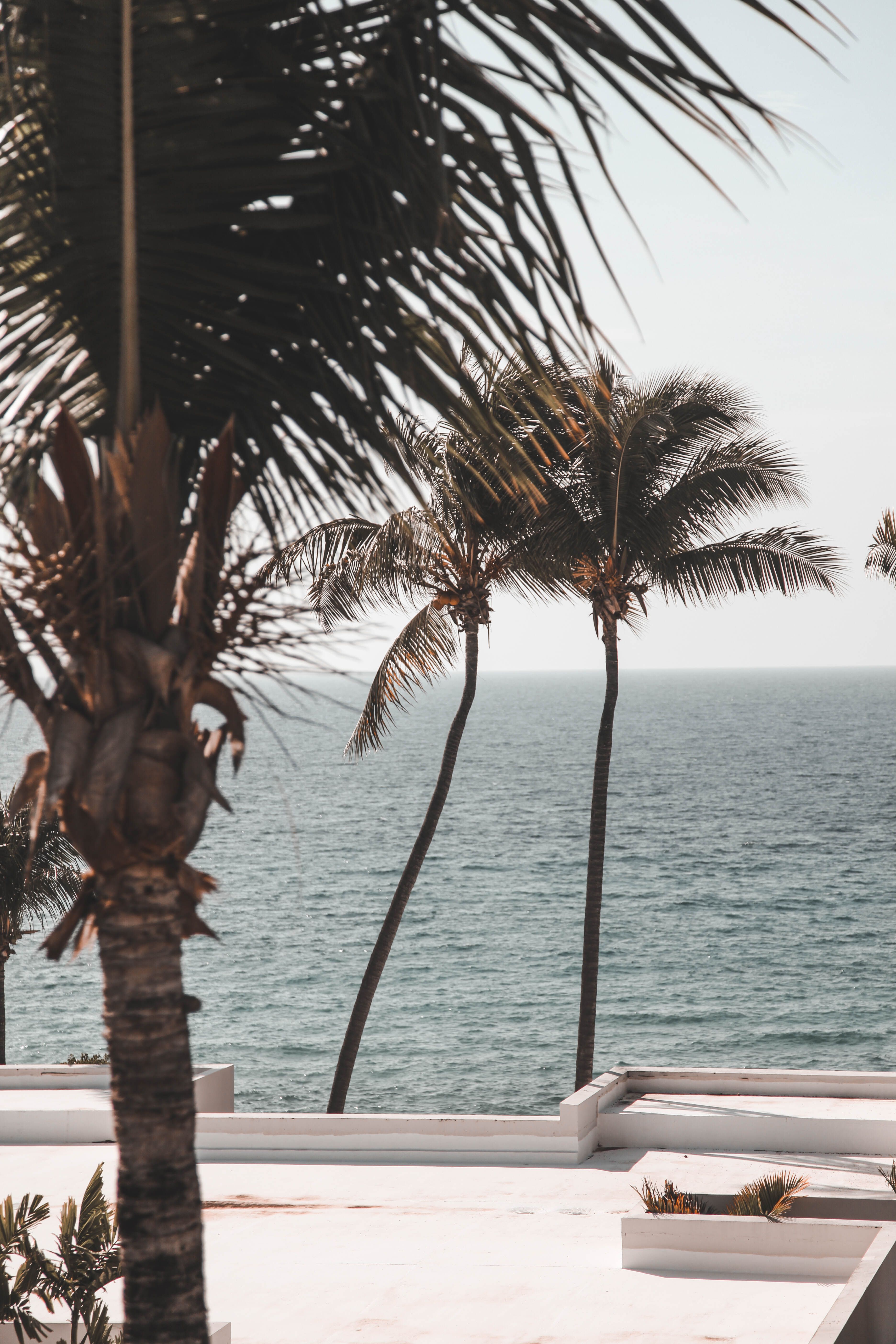 Scenic View of a Tropical Beach · Free Stock Photo