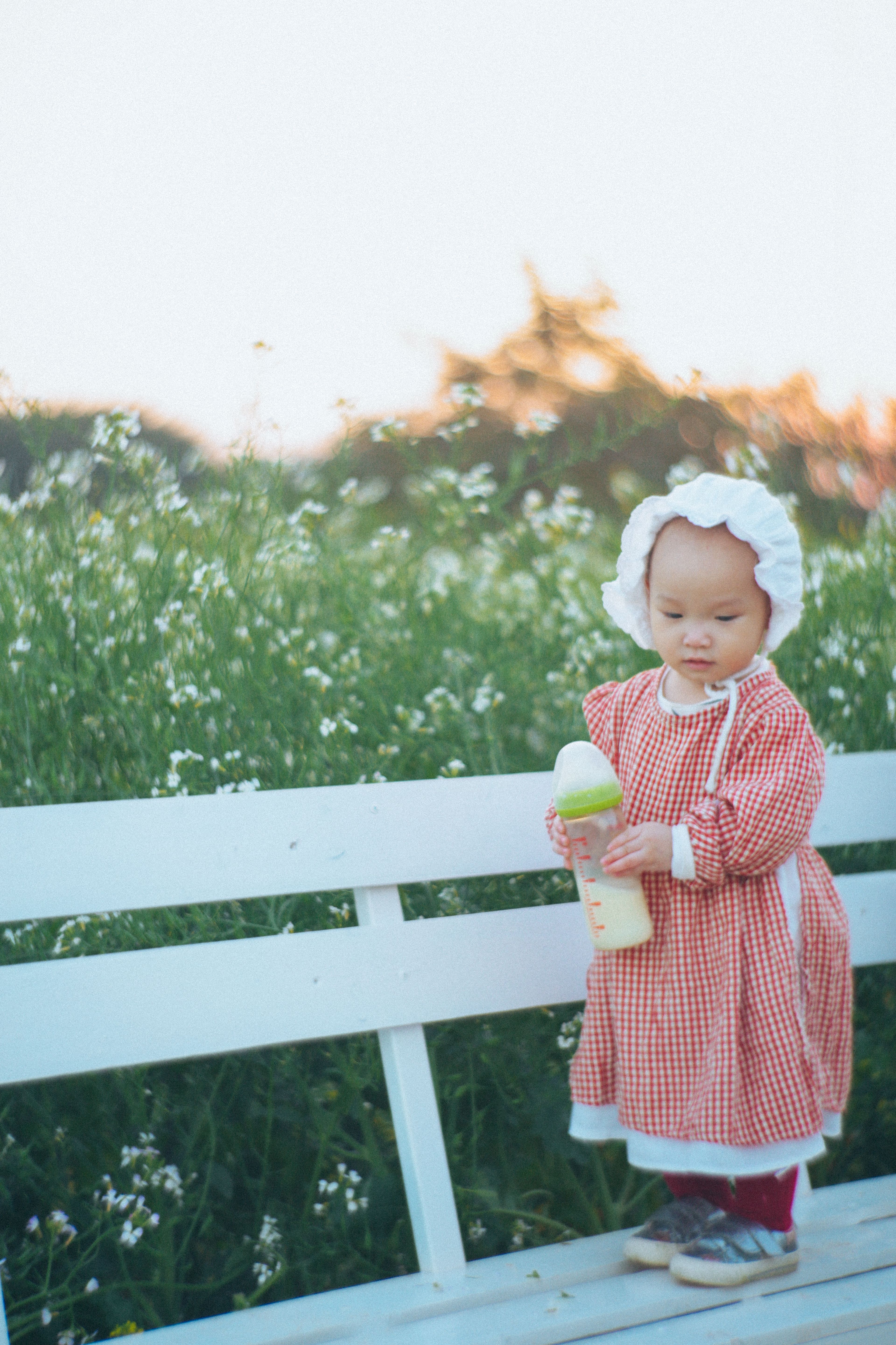 Cute Gingham Background Photos, Download The BEST Free Cute Gingham ...