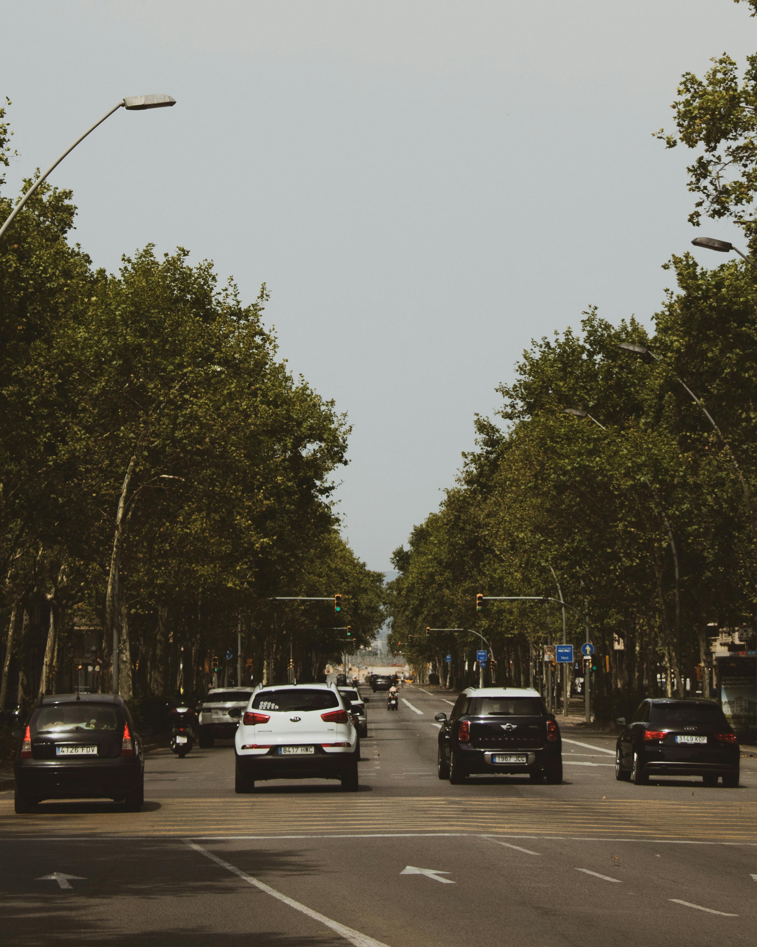 Cars on a Street in City · Free Stock Photo