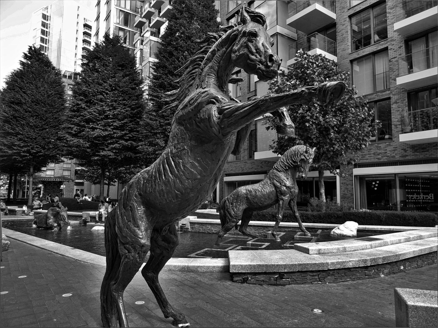 Understanding Horse Behavior: Insights for Owners and Riders