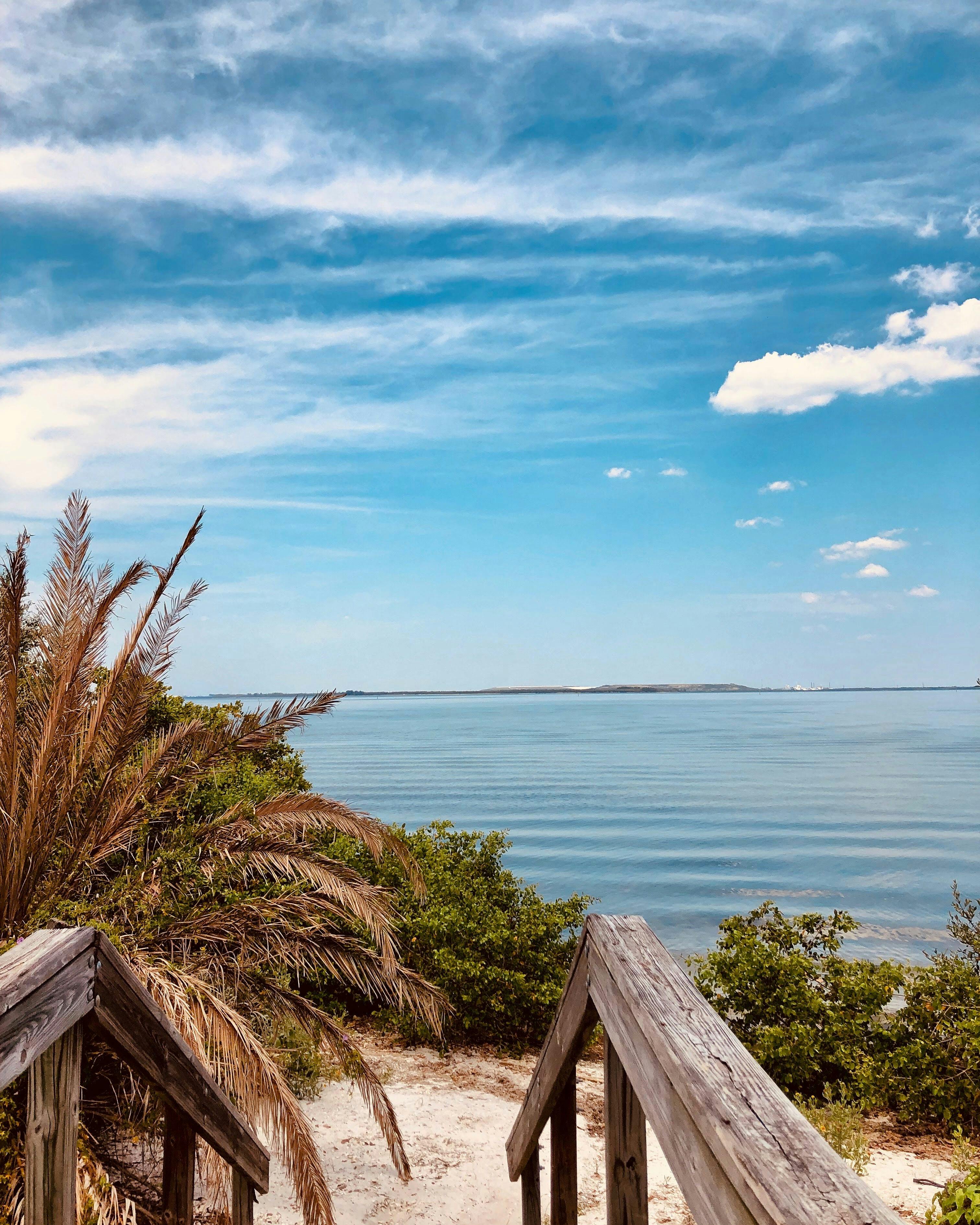 Wooden Dock near Beach · Free Stock Photo