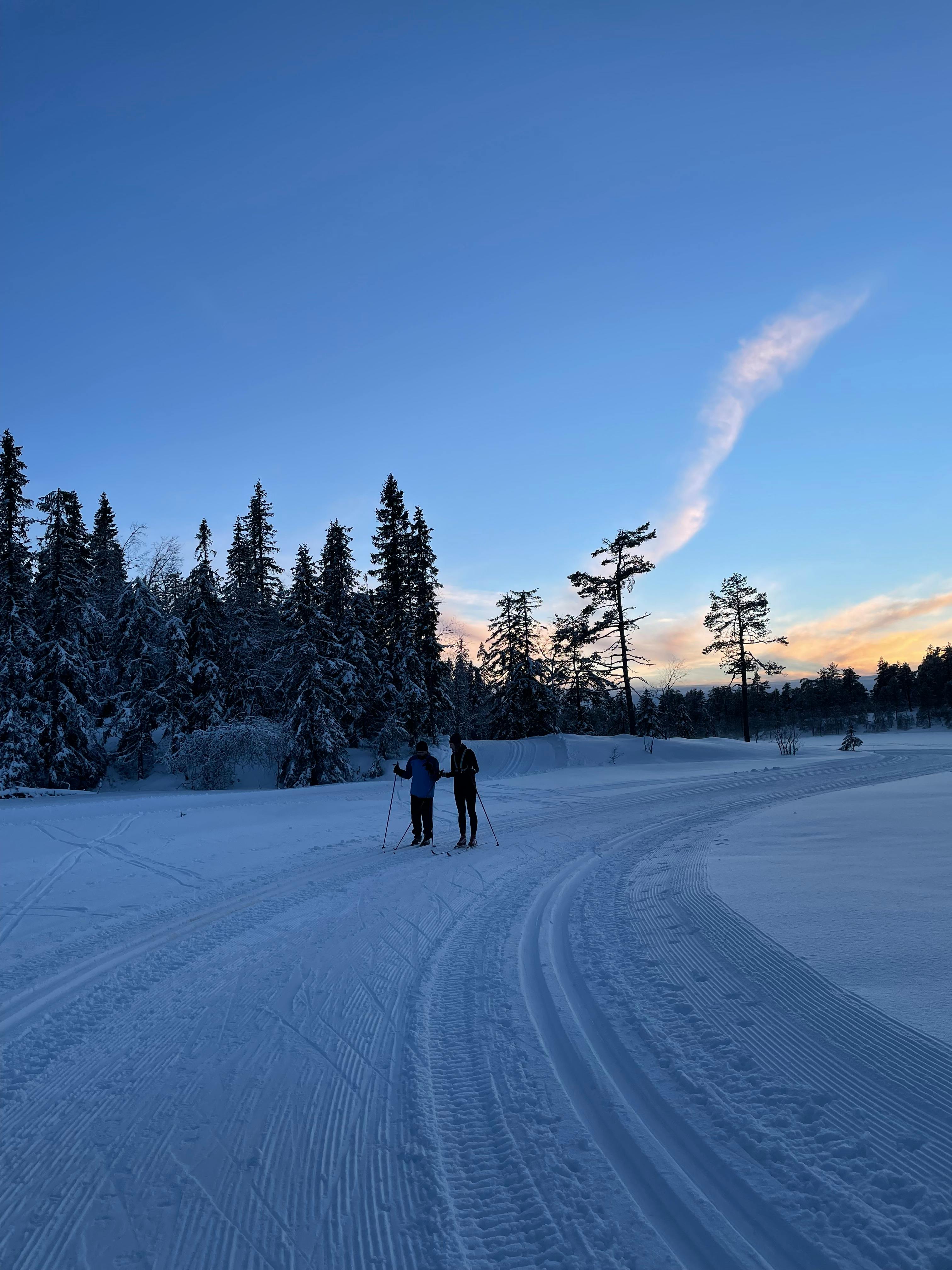 Two Person Skiing in Snow · Free Stock Photo