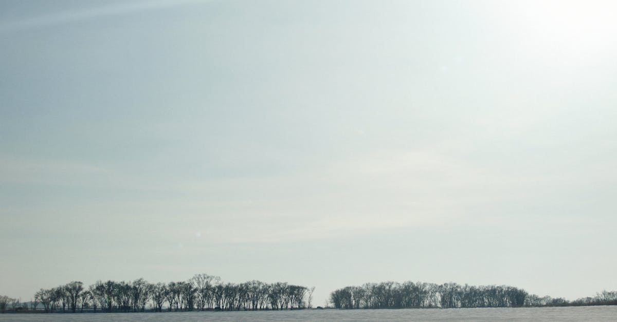 Vast Open Field Under Gloomy Sky · Free Stock Photo Vast Open Field Under Gloomy Sky · Free Stock Photo