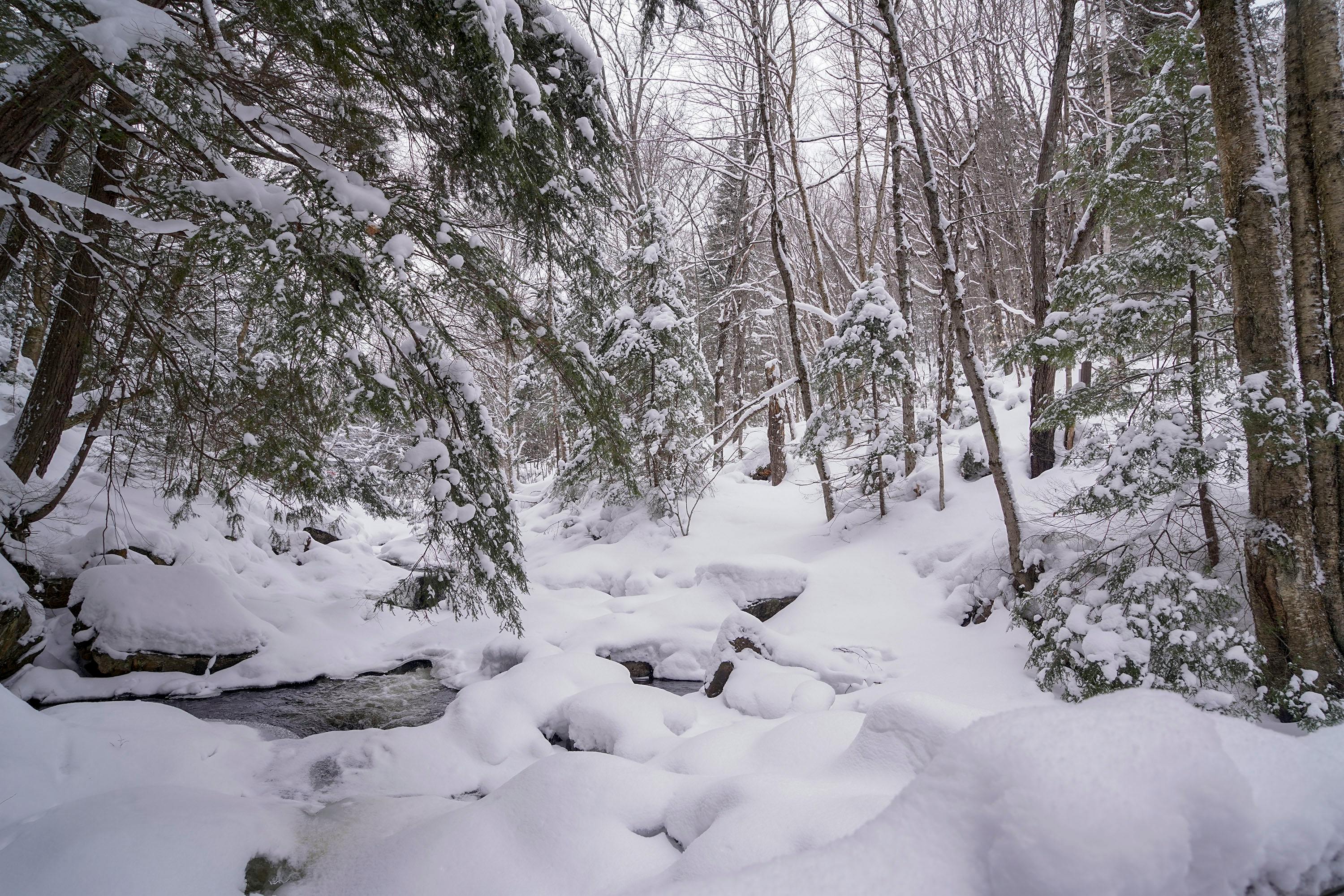 A Woman Swimming in an Infinity Pool During Winter · Free Stock Photo