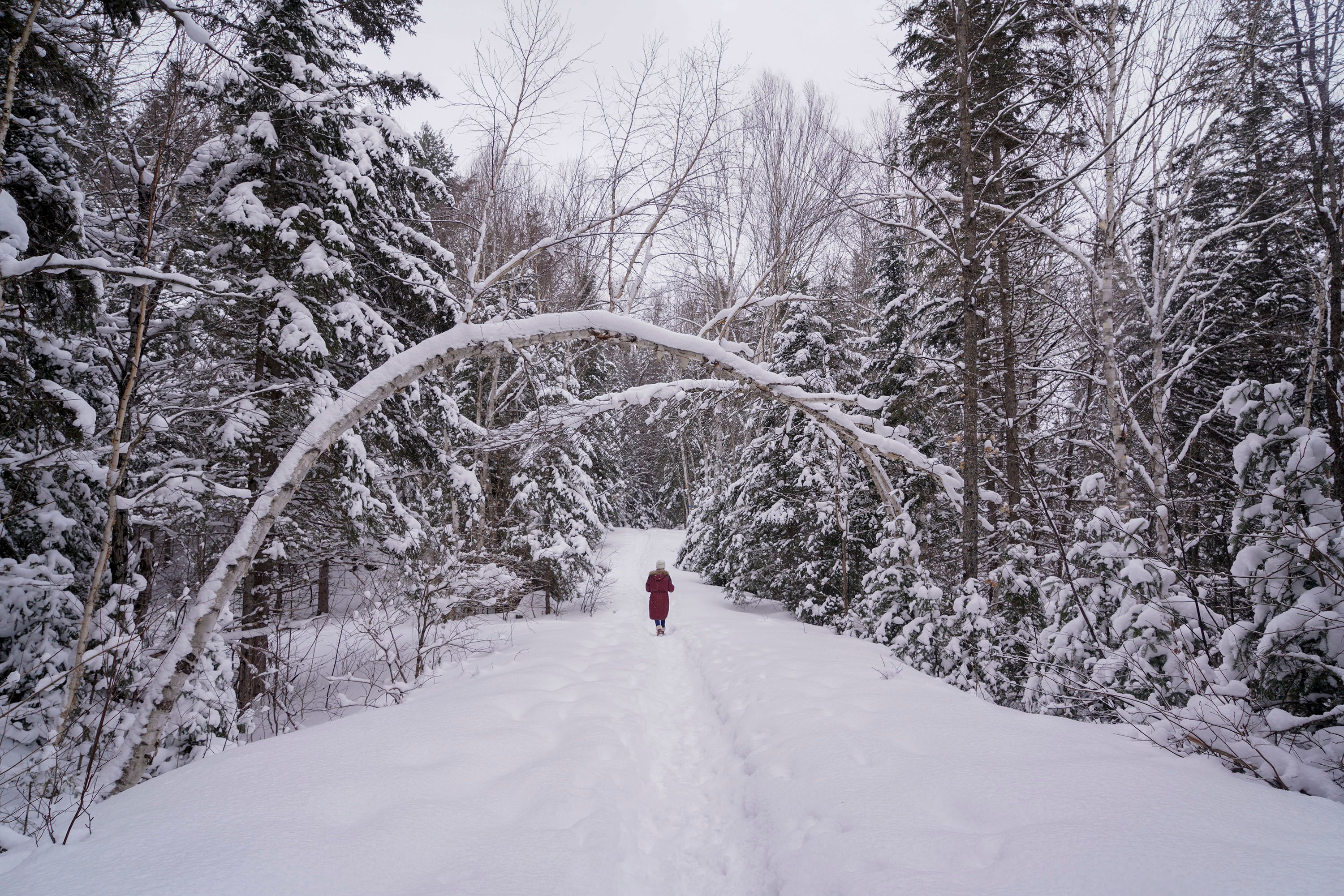 Person walking in a Snow-Covered Pathway · Free Stock Photo