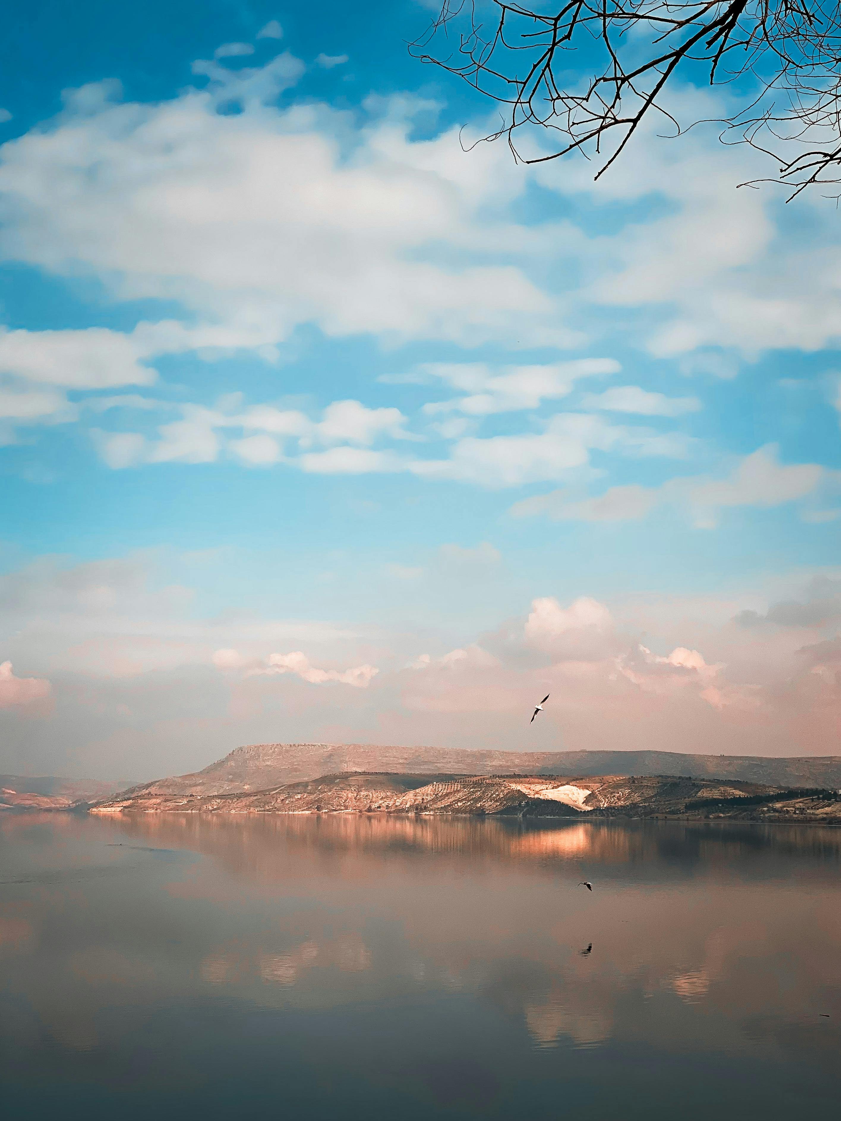 Placid Water Surface of a Lake · Free Stock Photo