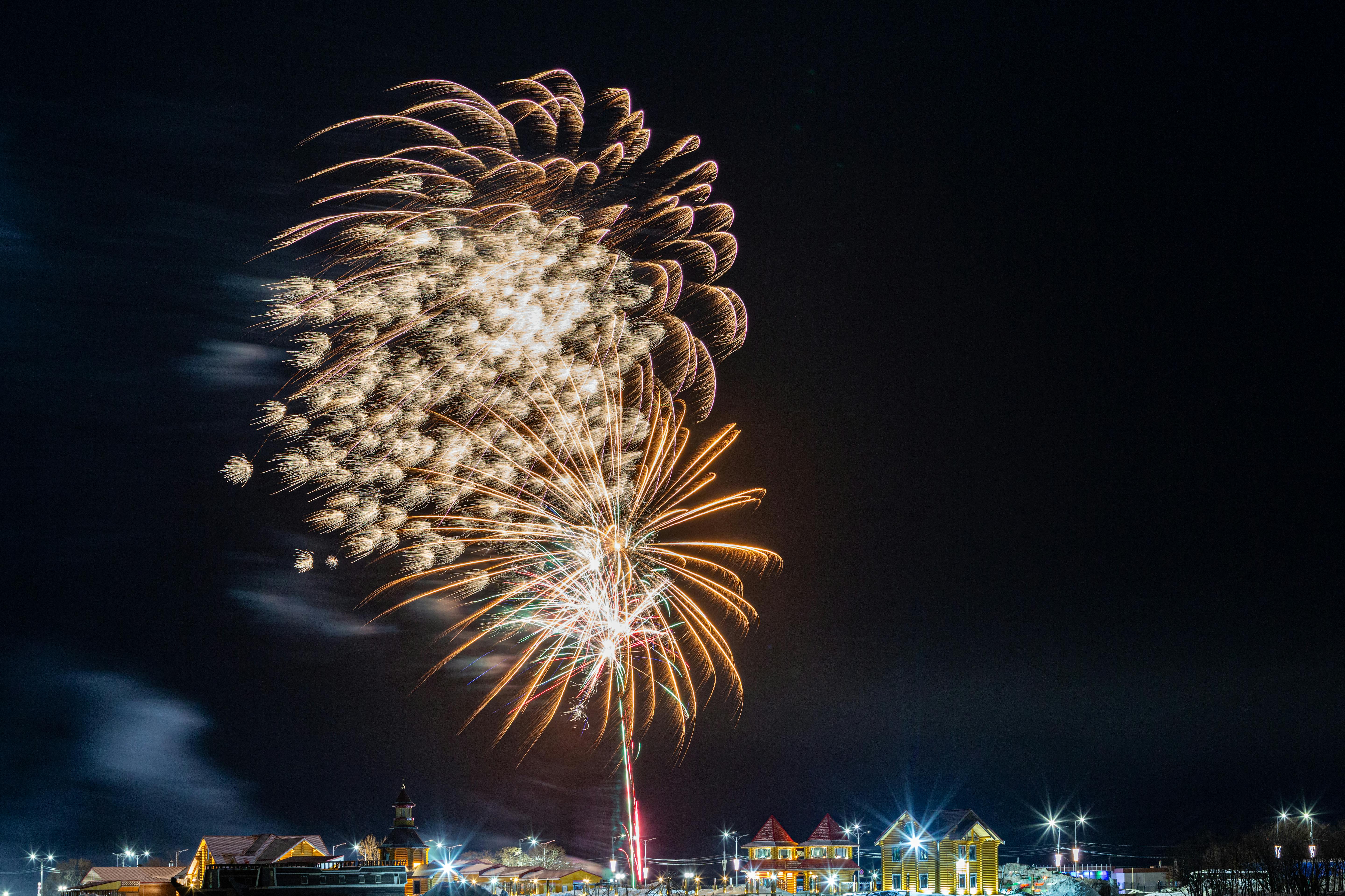 Blue and Red Brocade Fireworks at Night · Free Stock Photo