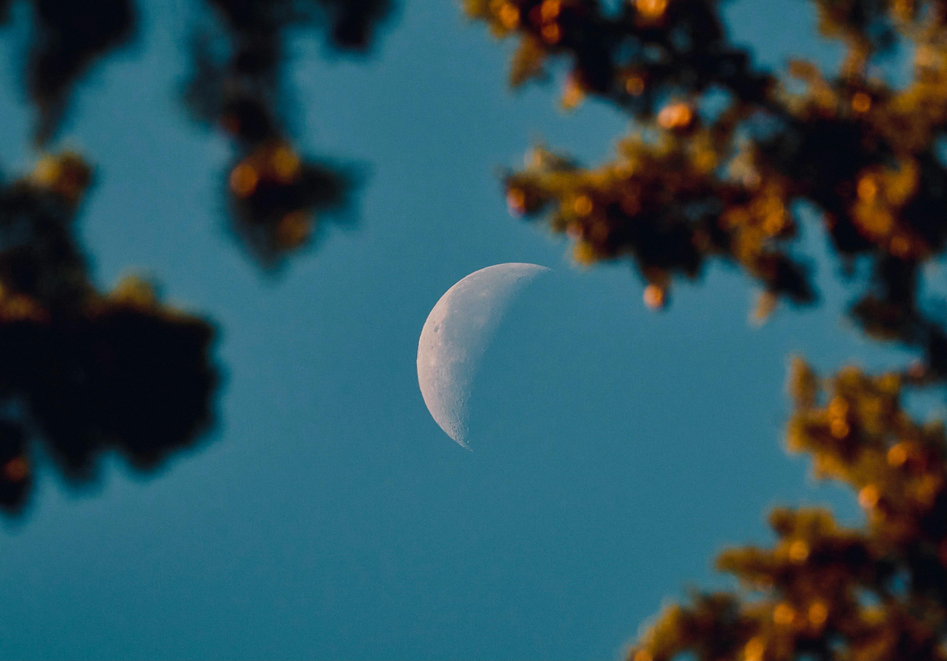 Crescent Moon in Autumn · Free Stock Photo