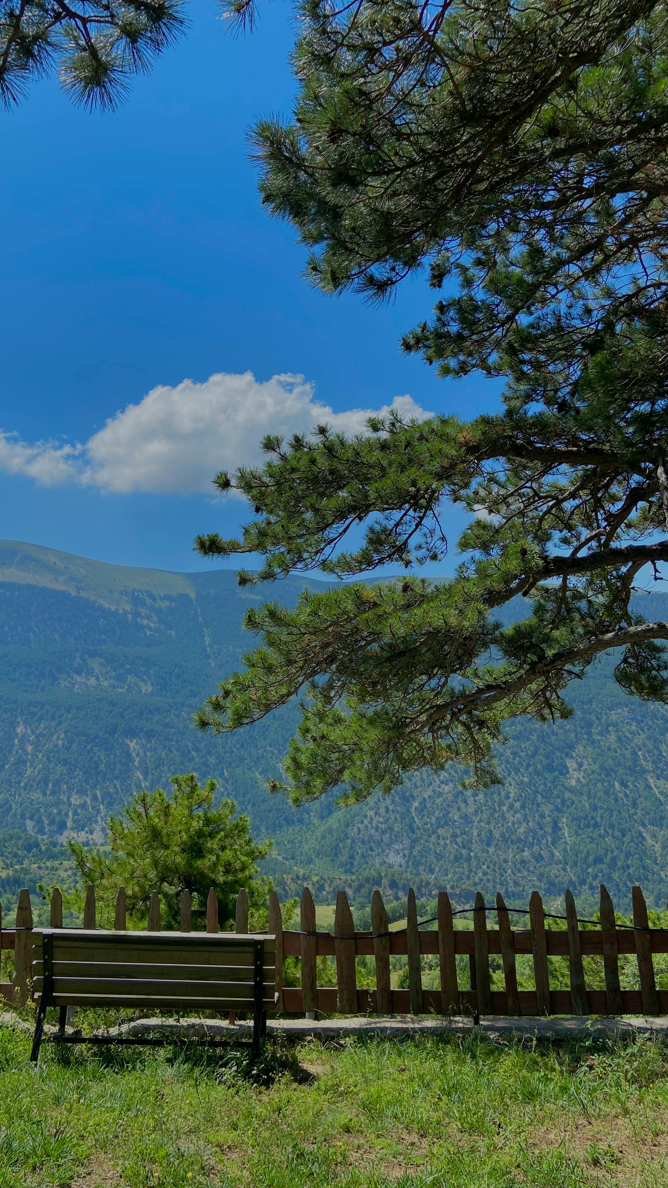 Bench and Fence · Free Stock Photo