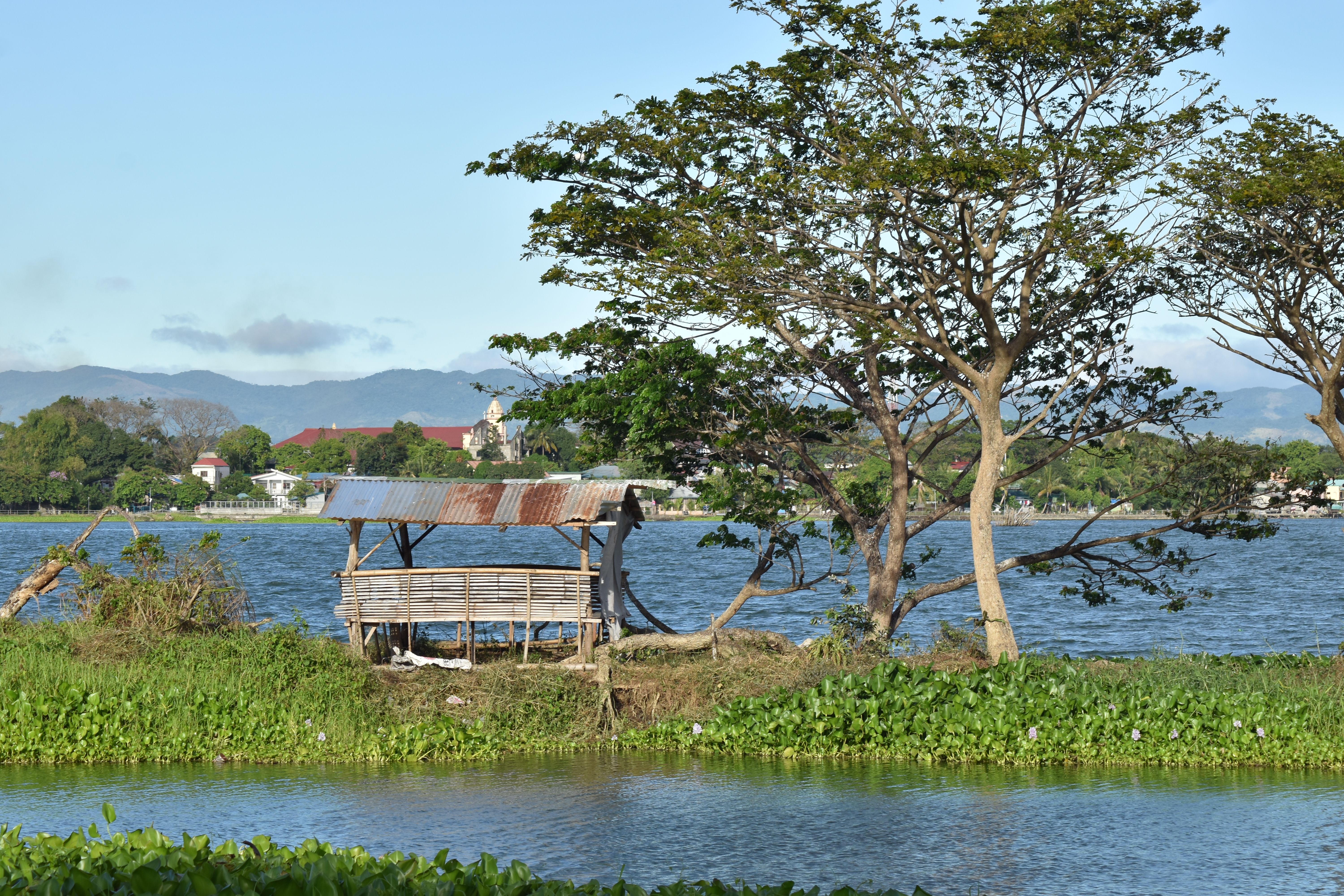 Wooden Hut and Trees on Lakeshore · Free Stock Photo